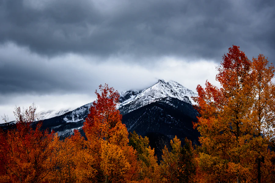 Snow-capped mountain rising behind vivid orange and red autumn trees under a heavy gray sky.