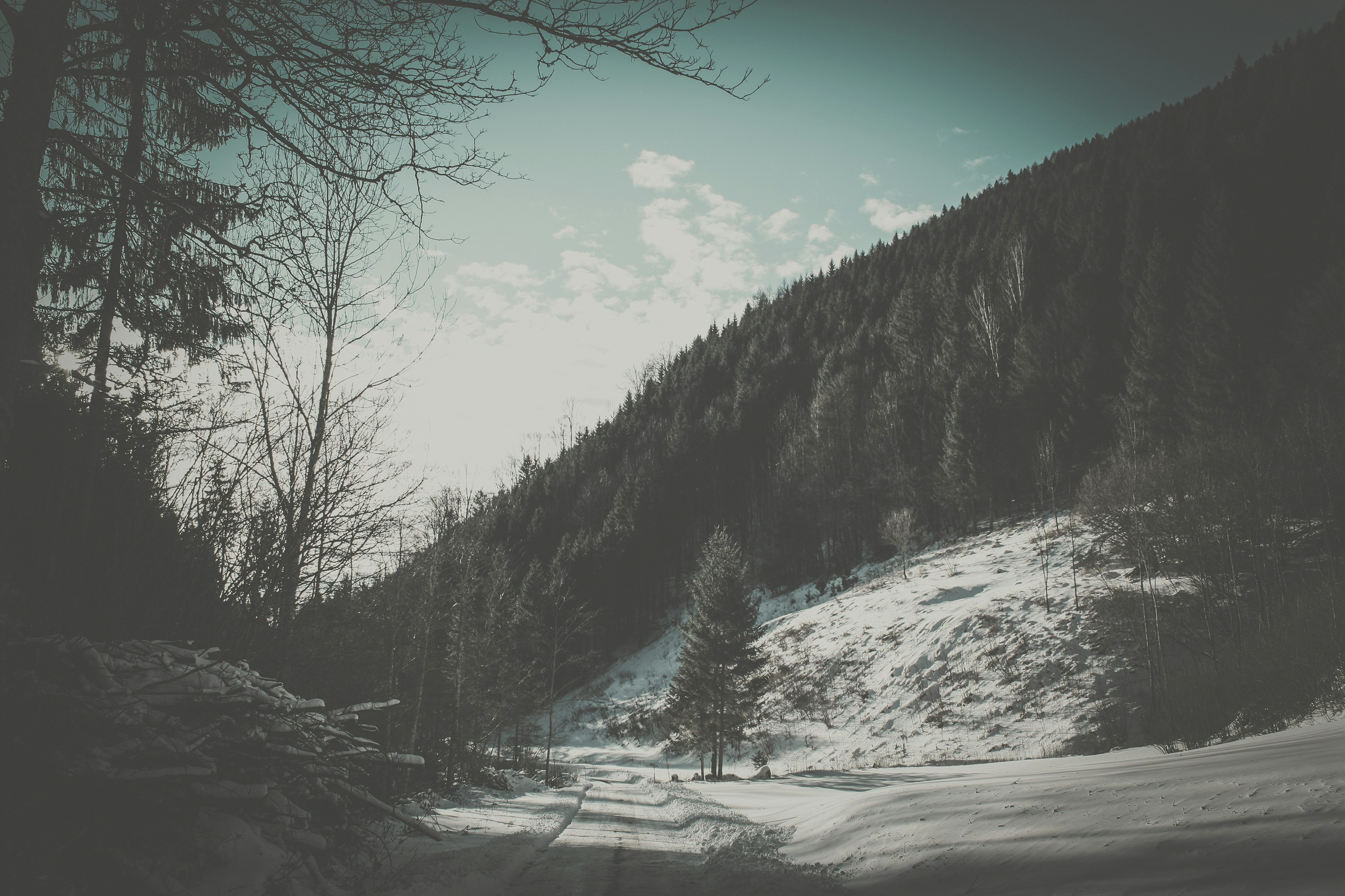 Ju On (@juon) | Unsplash Photo Community