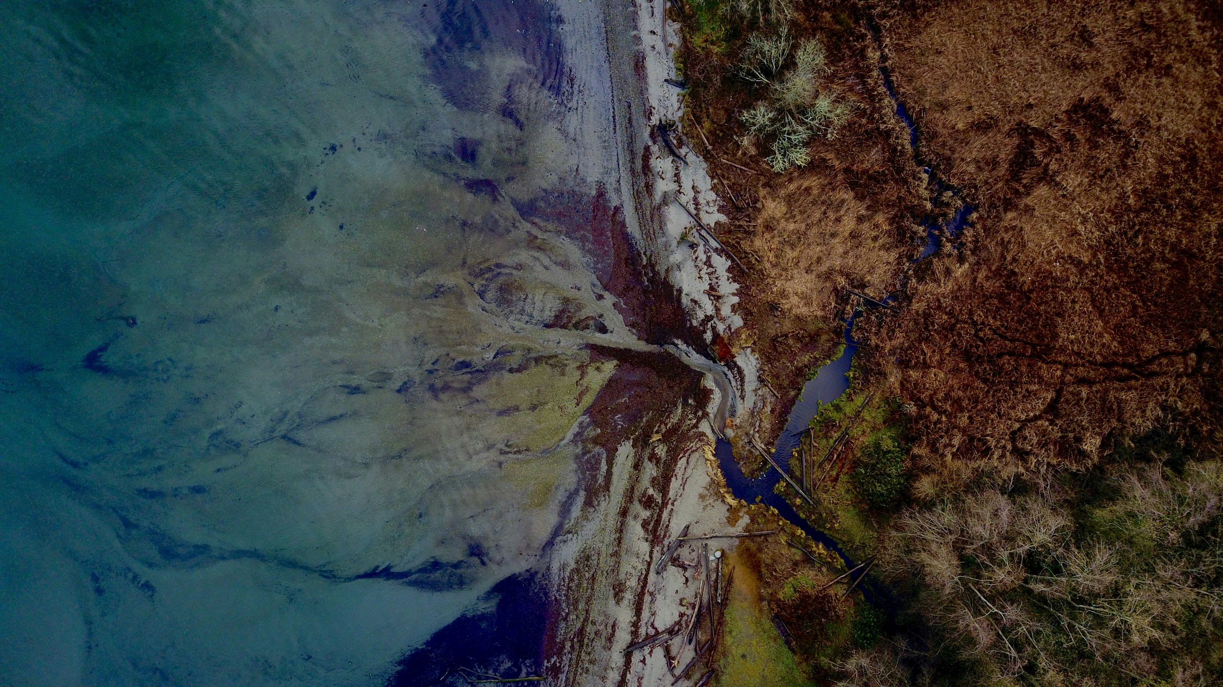 Aerial view of a shoreline blending turquoise waters with earth-toned terrain.