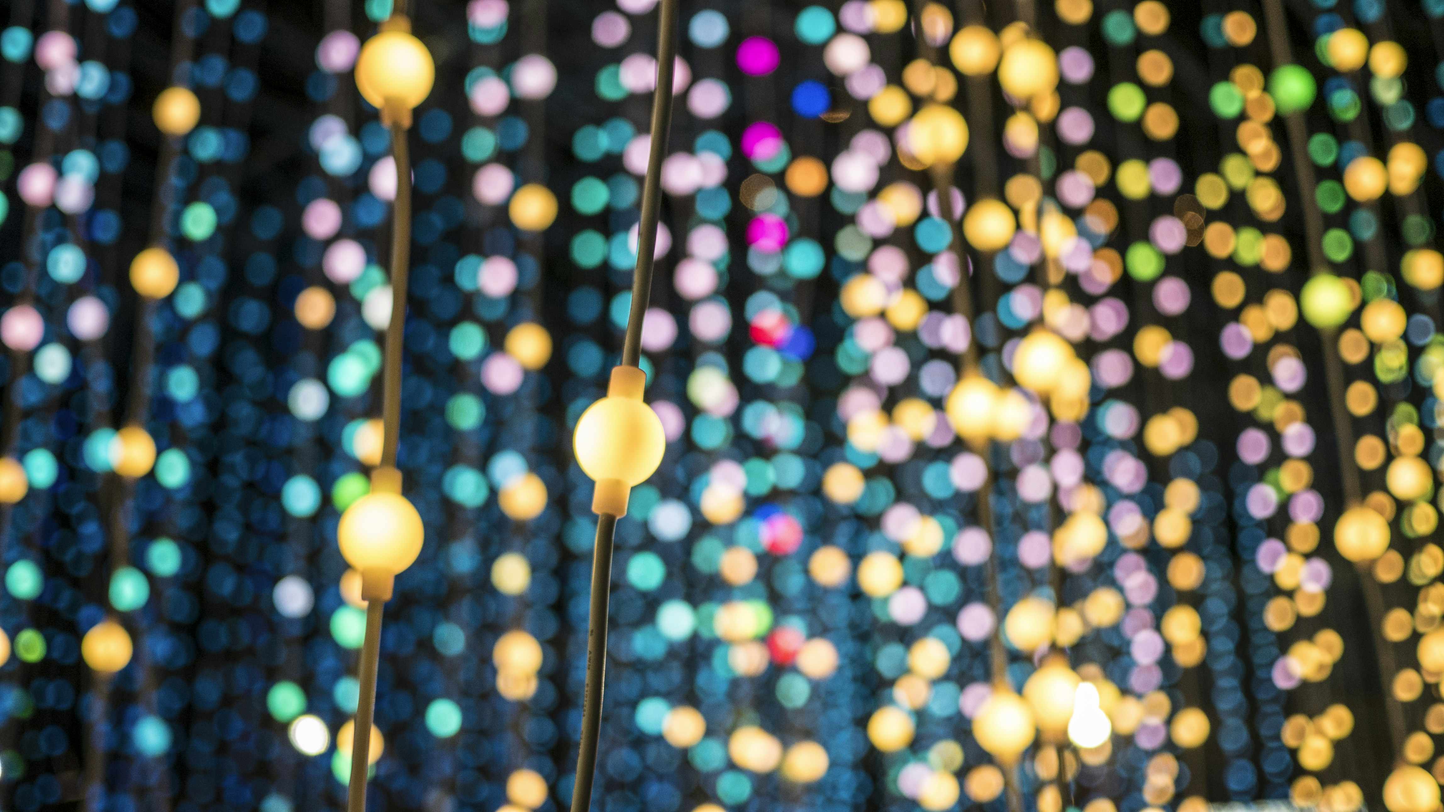 Kam Cheng (@kamwcheng) | Komunitas Foto Unsplash