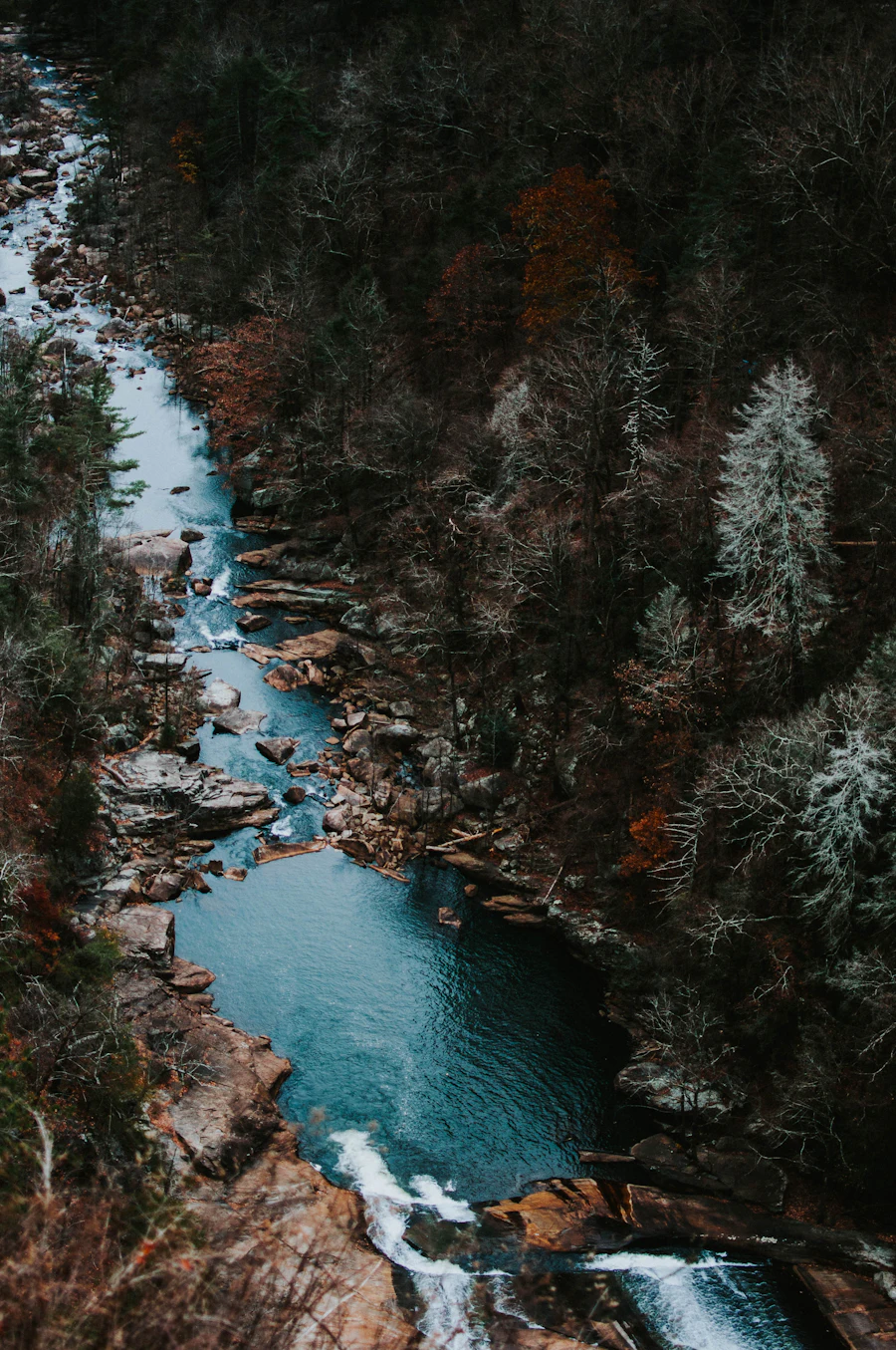 A turquoise river snakes between rocky banks in a steep, shadowy forest. Bare trees and scattered autumn color frame the water from above.