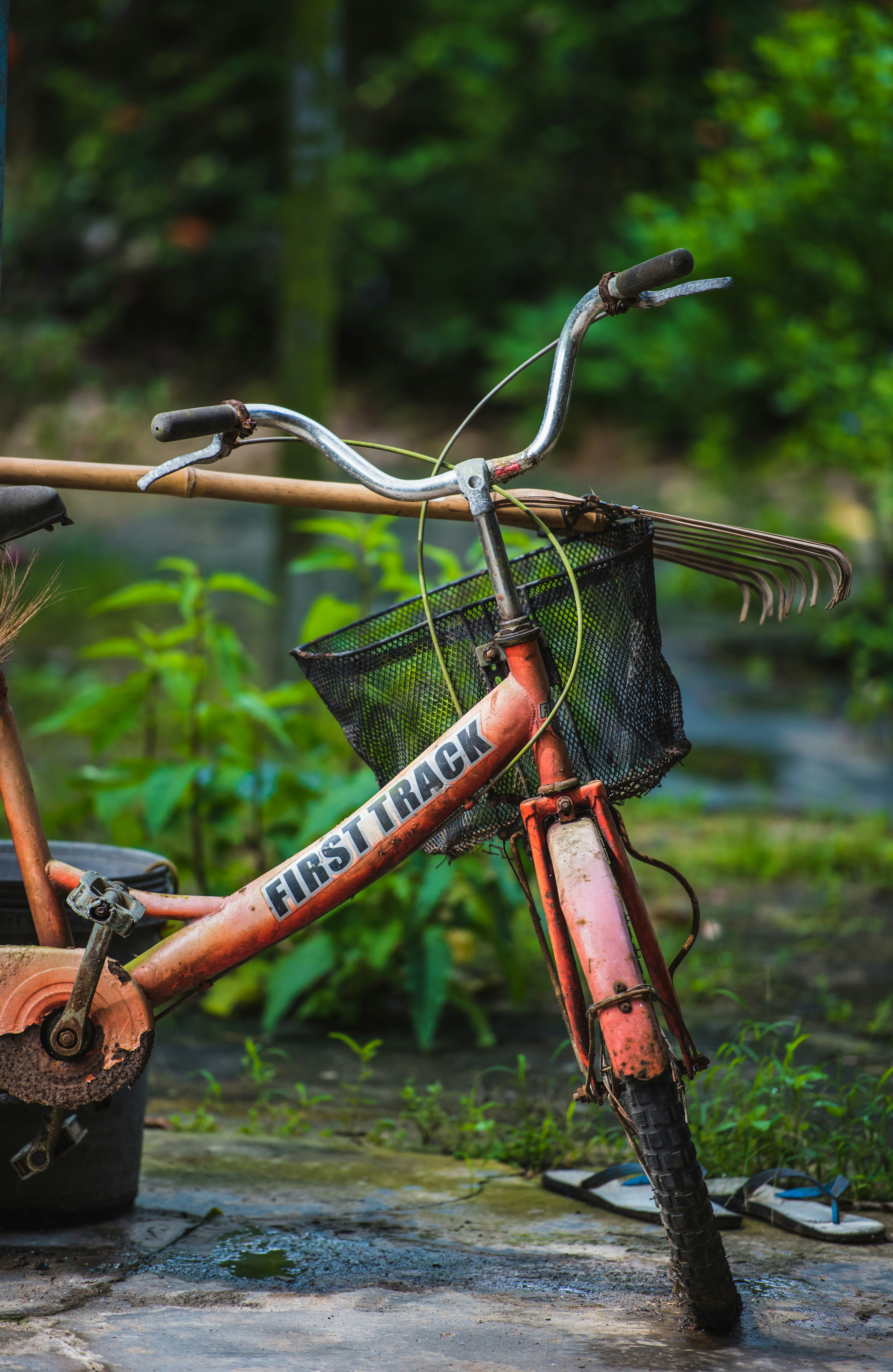Rusty First Track: A Frozen Moment on a Weathered Bicycle