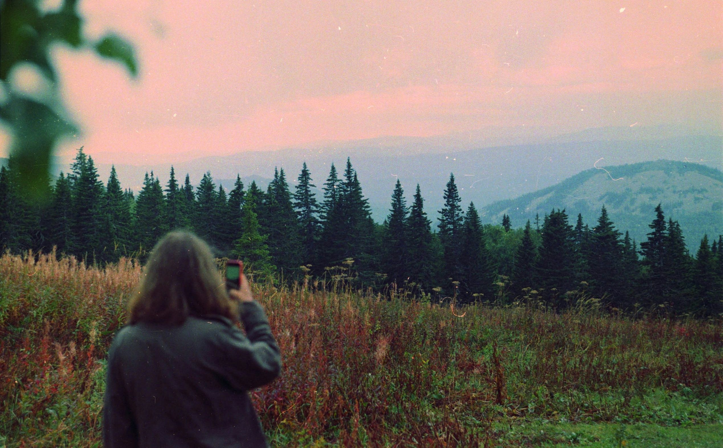 Person photographing a lush forest landscape with rolling hills under a pink-hued sky.