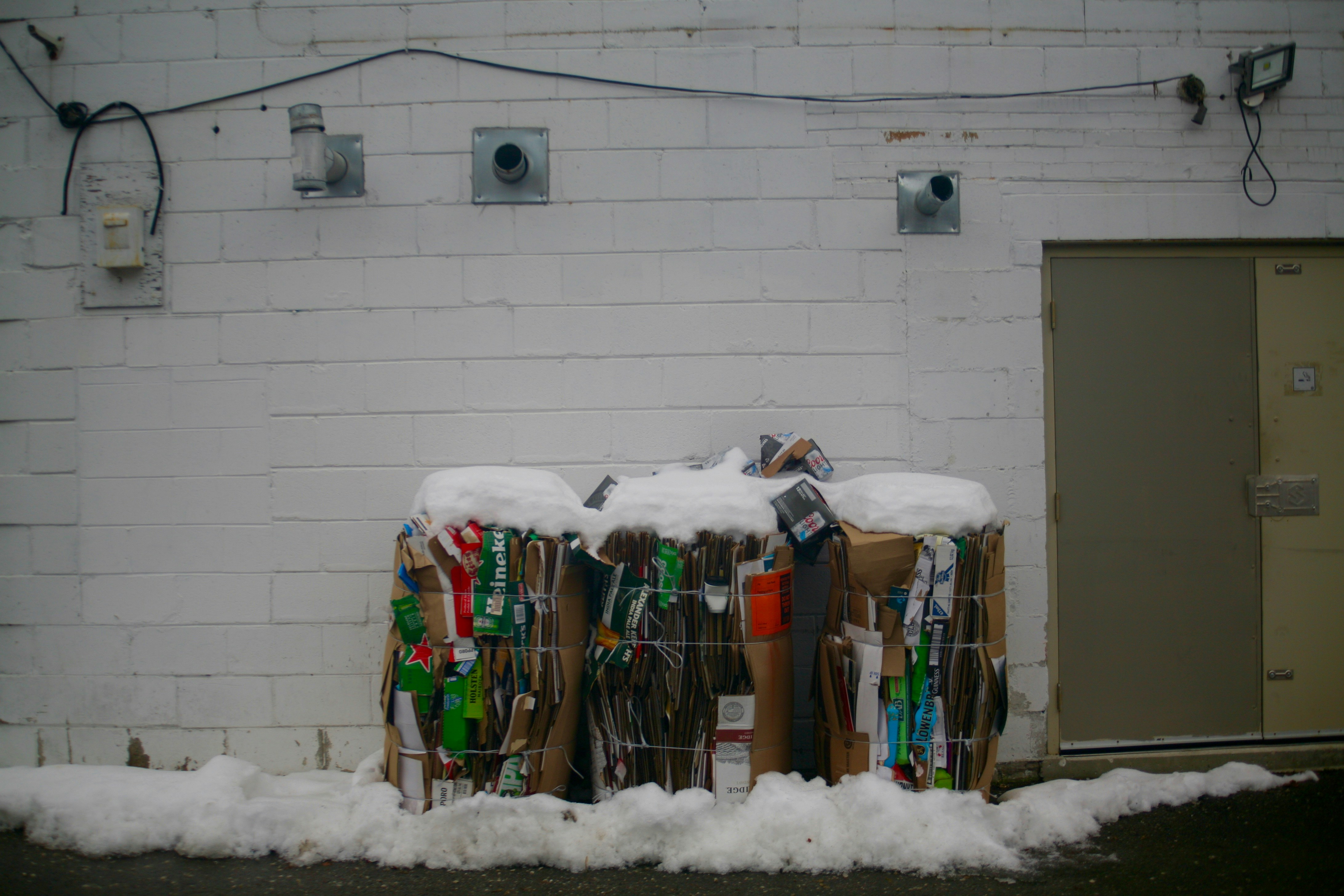 Cold-Environment Supply-Chain Redundancy Planning: Mitigating ...