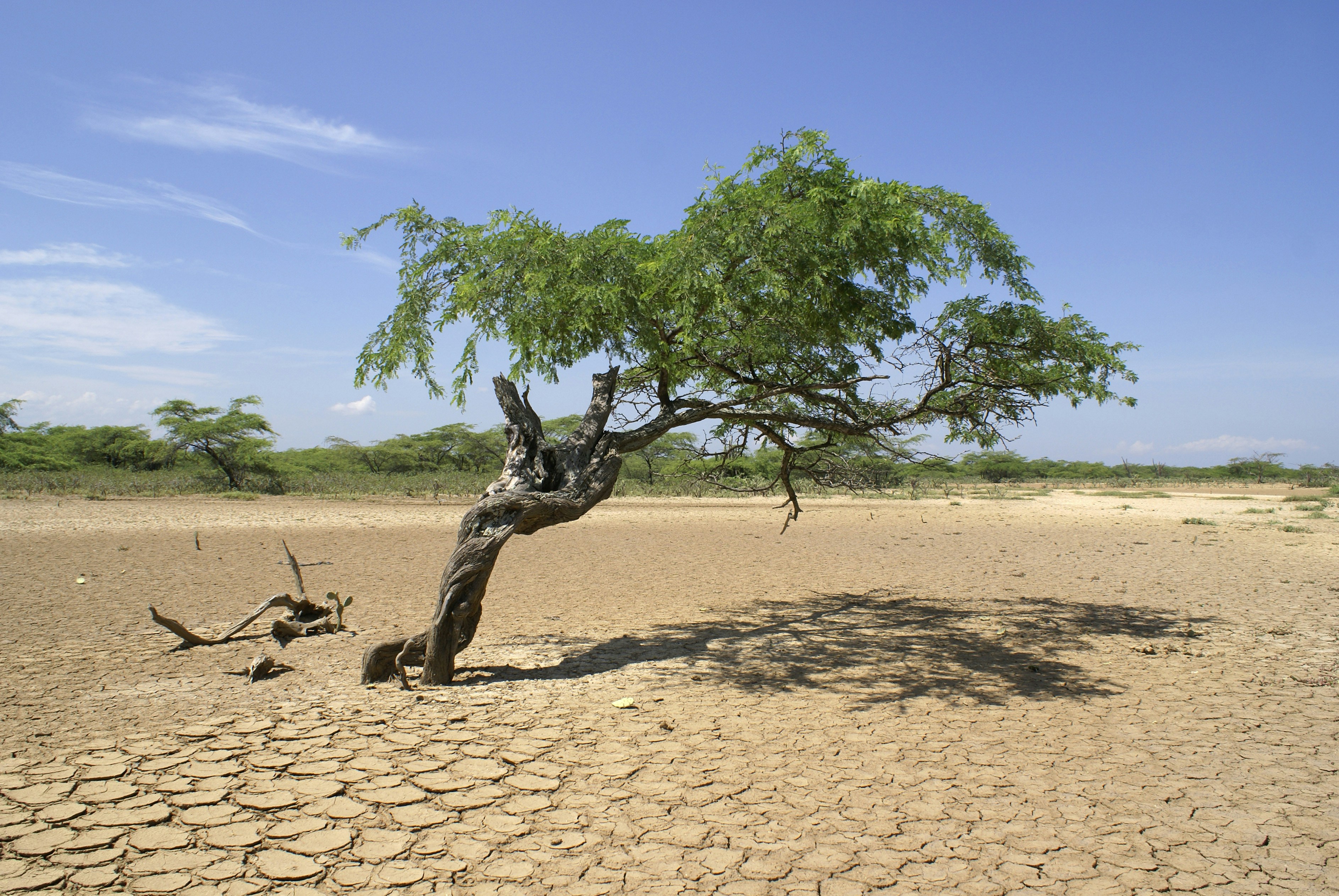Víctor Jesús Carrasco (@vjco) | Unsplash 사진 커뮤니티
