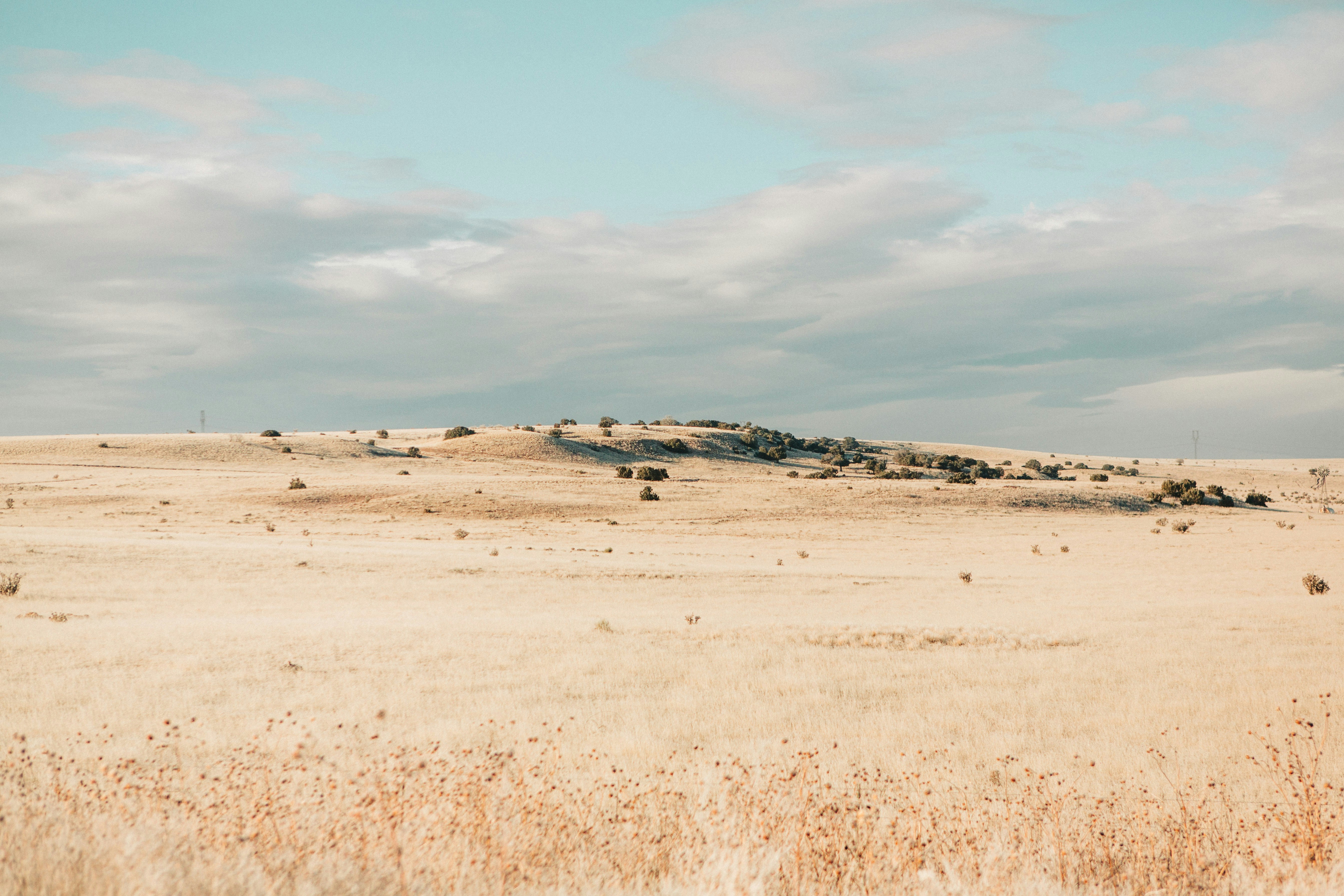We were driving back to Texas from Santa Fe early New Year’s Eve. Most of the New Mexican highway was swarmed with a dense fog and we weren’t able to see anything but the car right in front of us. Suddenly, the fog opened up and we were surrounded by these gorgeous plains, still covered in frost and gleaming in the morning sun. | landscape photo of grass field