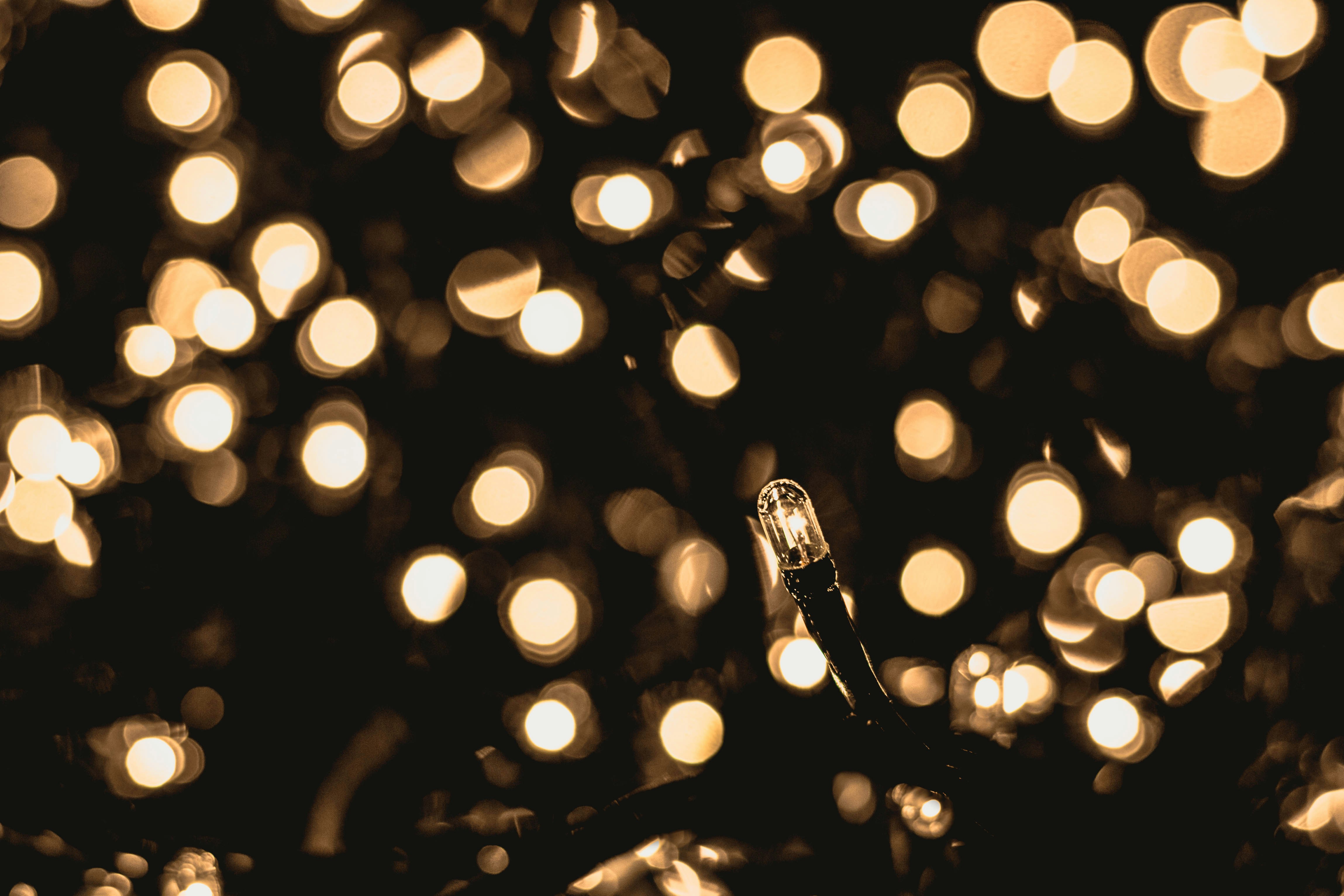 Alexandru Tugui (@alexandru_tugui) | Unsplash Photo Community