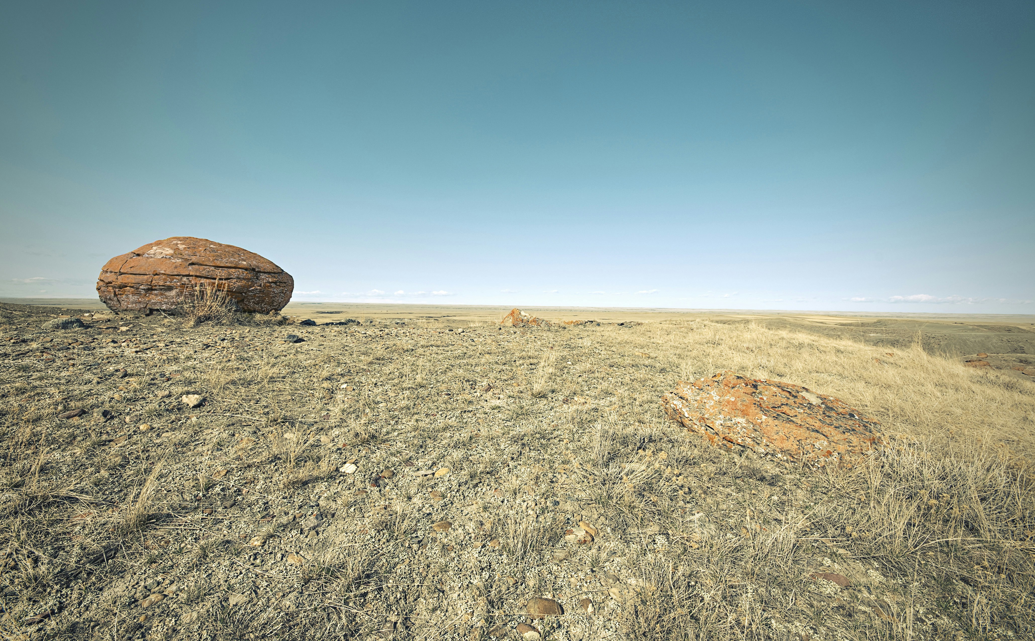 Left Sentinel on a Wind-Scoured Plain