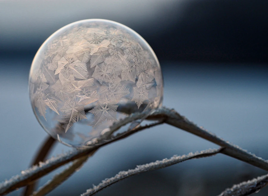 A translucent glass orb filled with intricate frost crystals rests on thin, ice-dusted branches against a soft blue-gray background.