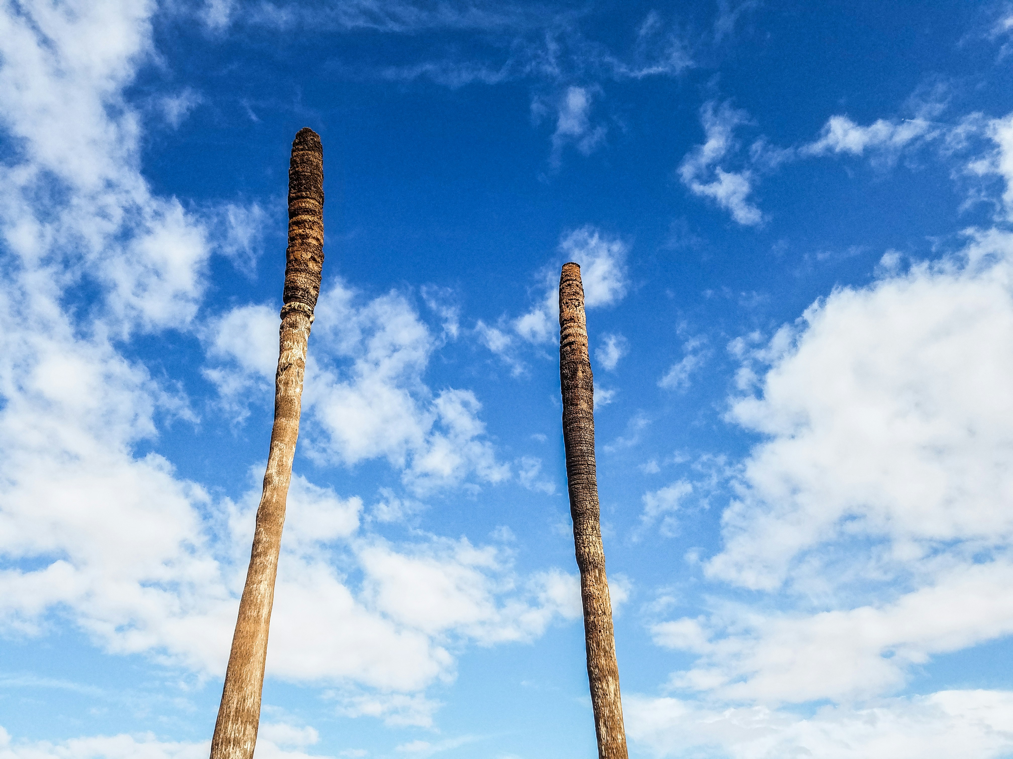 Brent Payton (@brentpayton) | Unsplash Photo Community