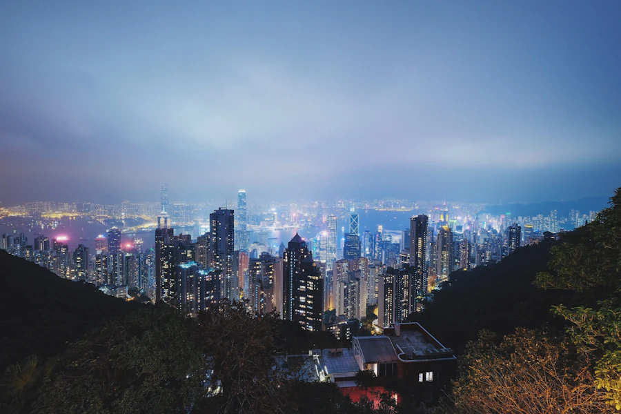 A wide nighttime city skyline glows between dark hills, with dense towers and scattered lights beneath a soft blue haze. Foreground trees and a small roofline frame the urban view.