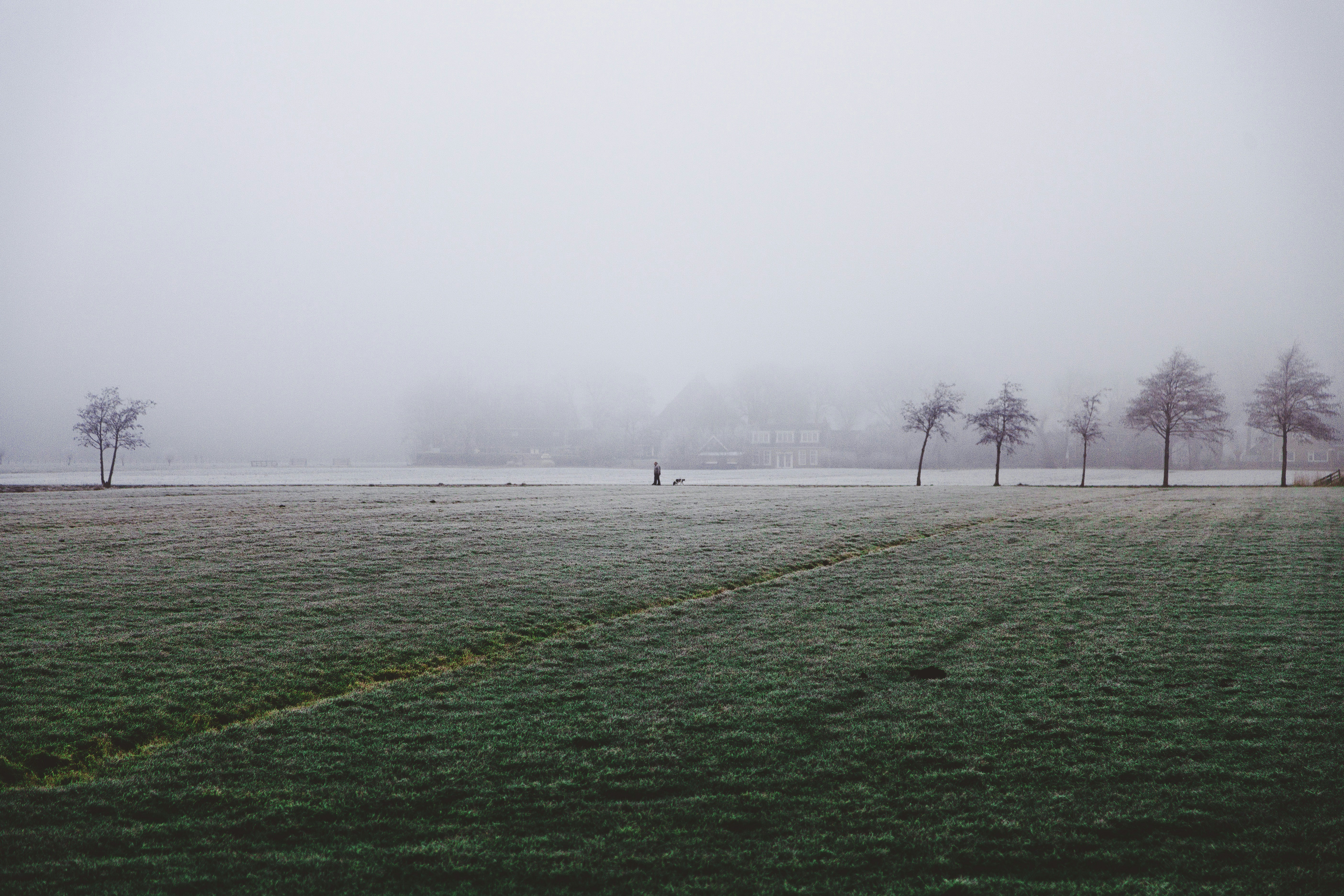 Foggy field with sparse trees and a solitary figure in the distance.