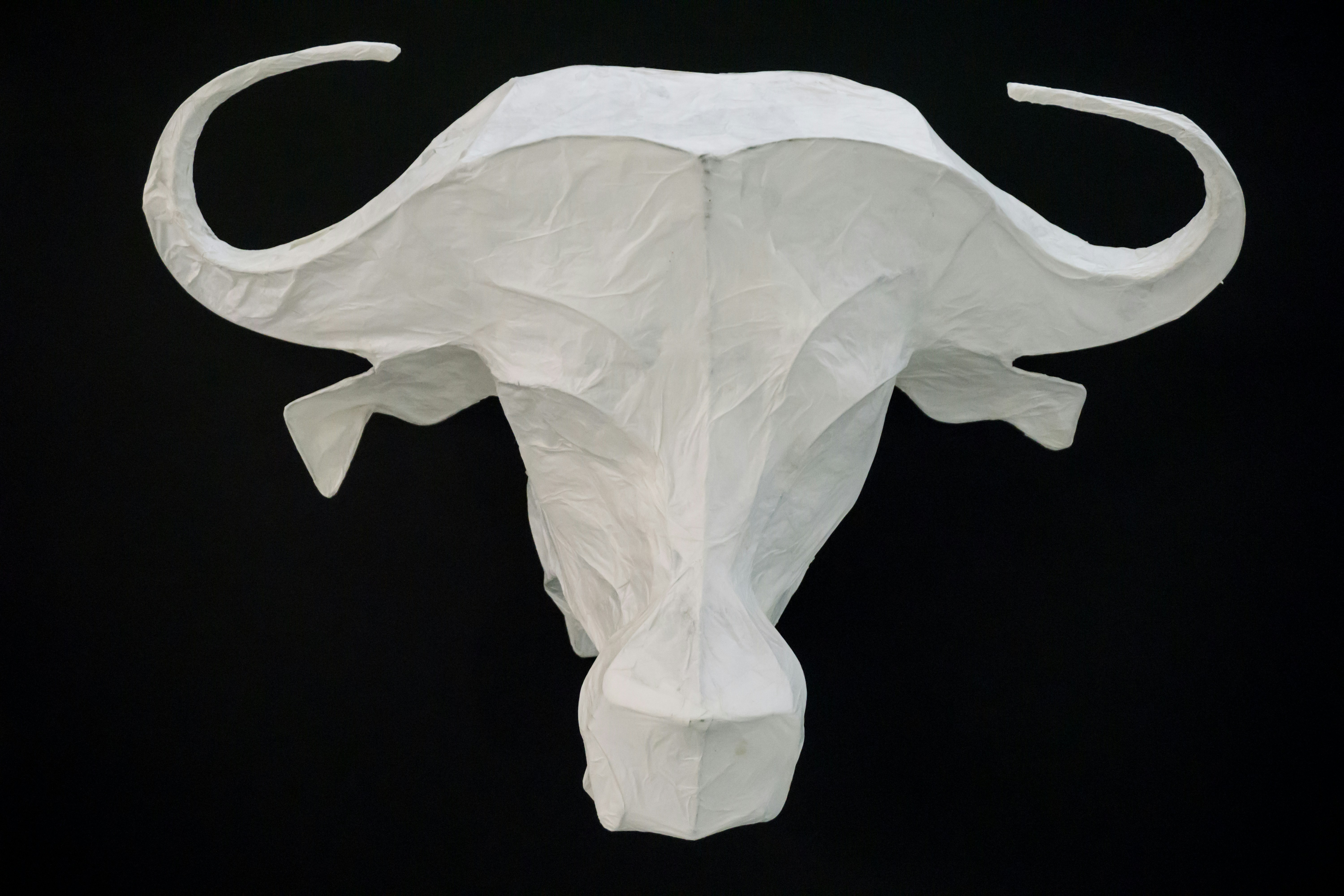 MMMMM BBBBB (@mmmmmbbbbb) | Unsplash Photo Community