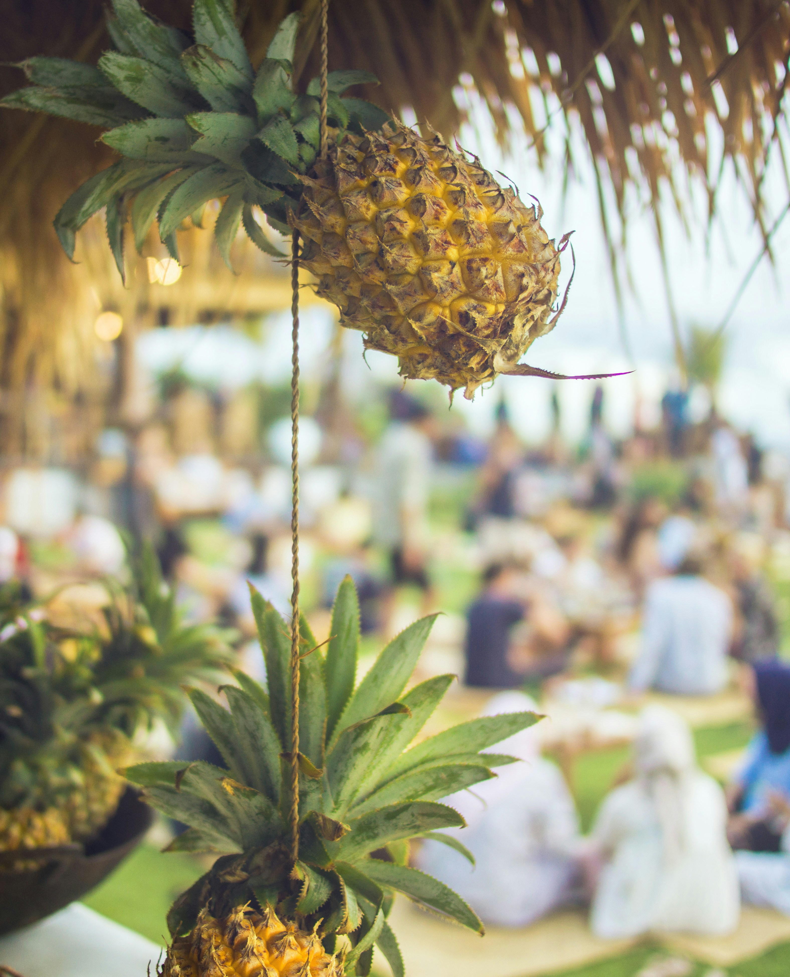 Hanging pineapple in a vibrant outdoor setting, with blurred figures enjoying a leisurely gathering in the background.