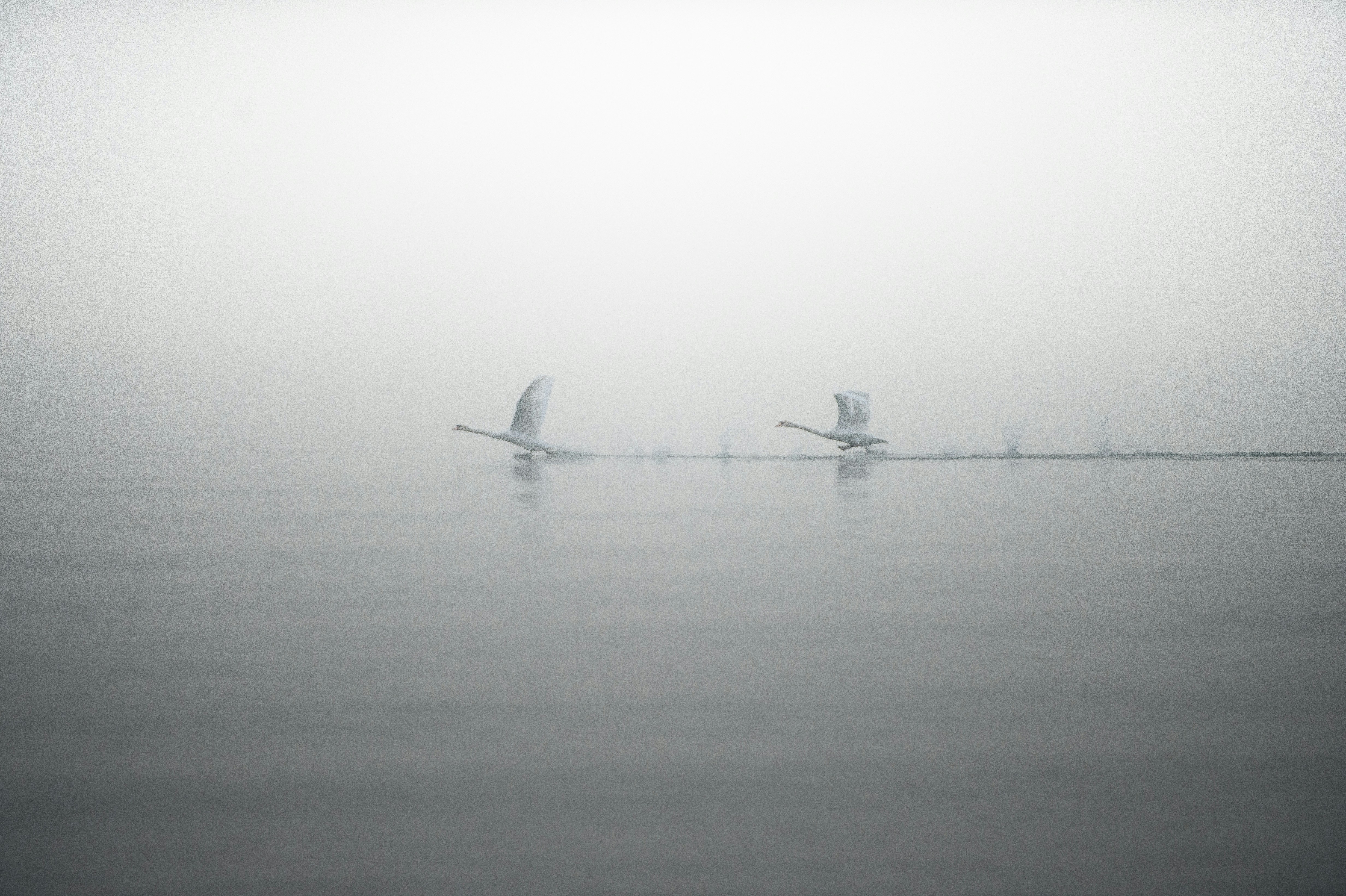 Take off