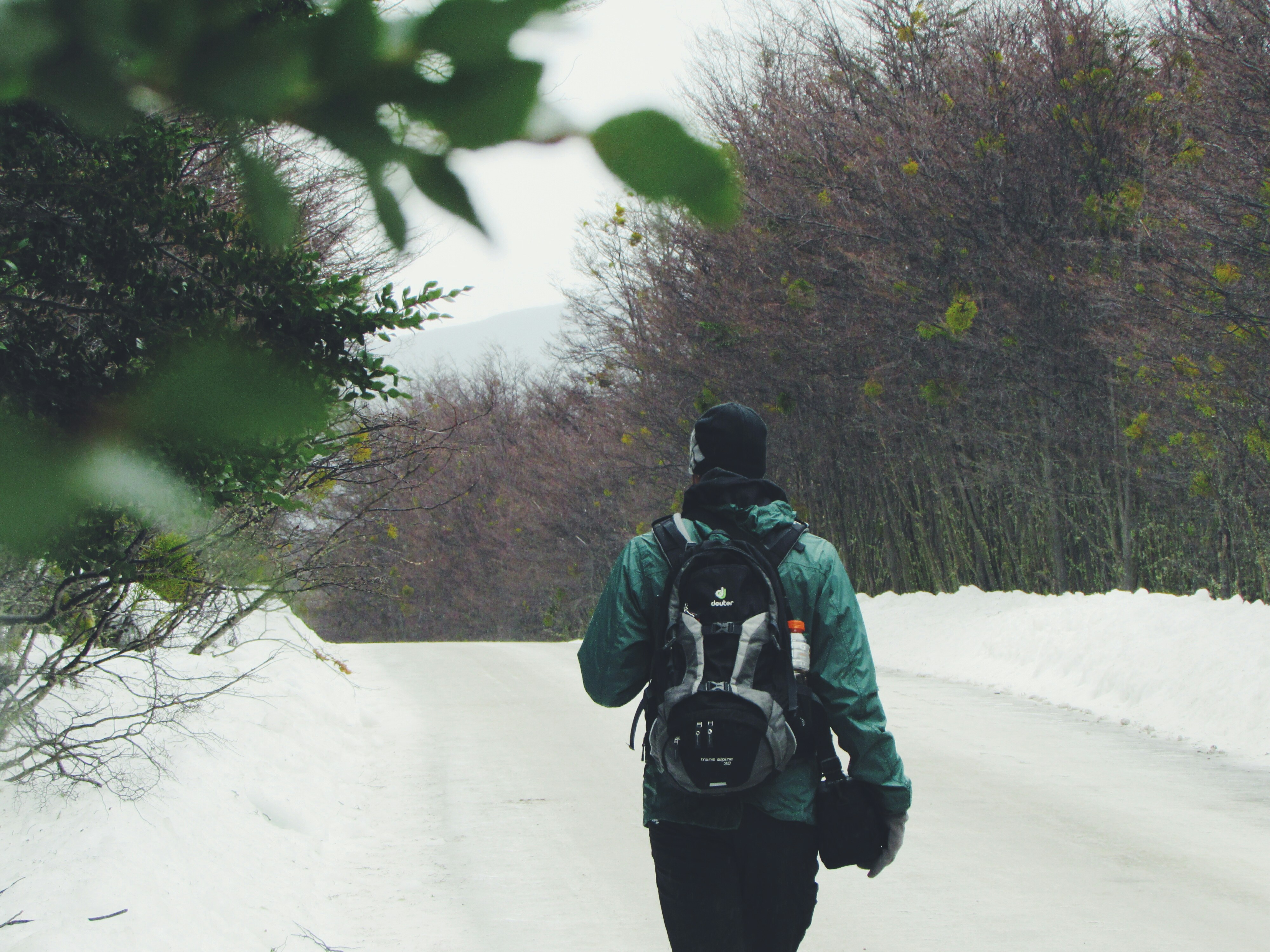 Person with backpack walks along a snowy road bordered by leafless trees.