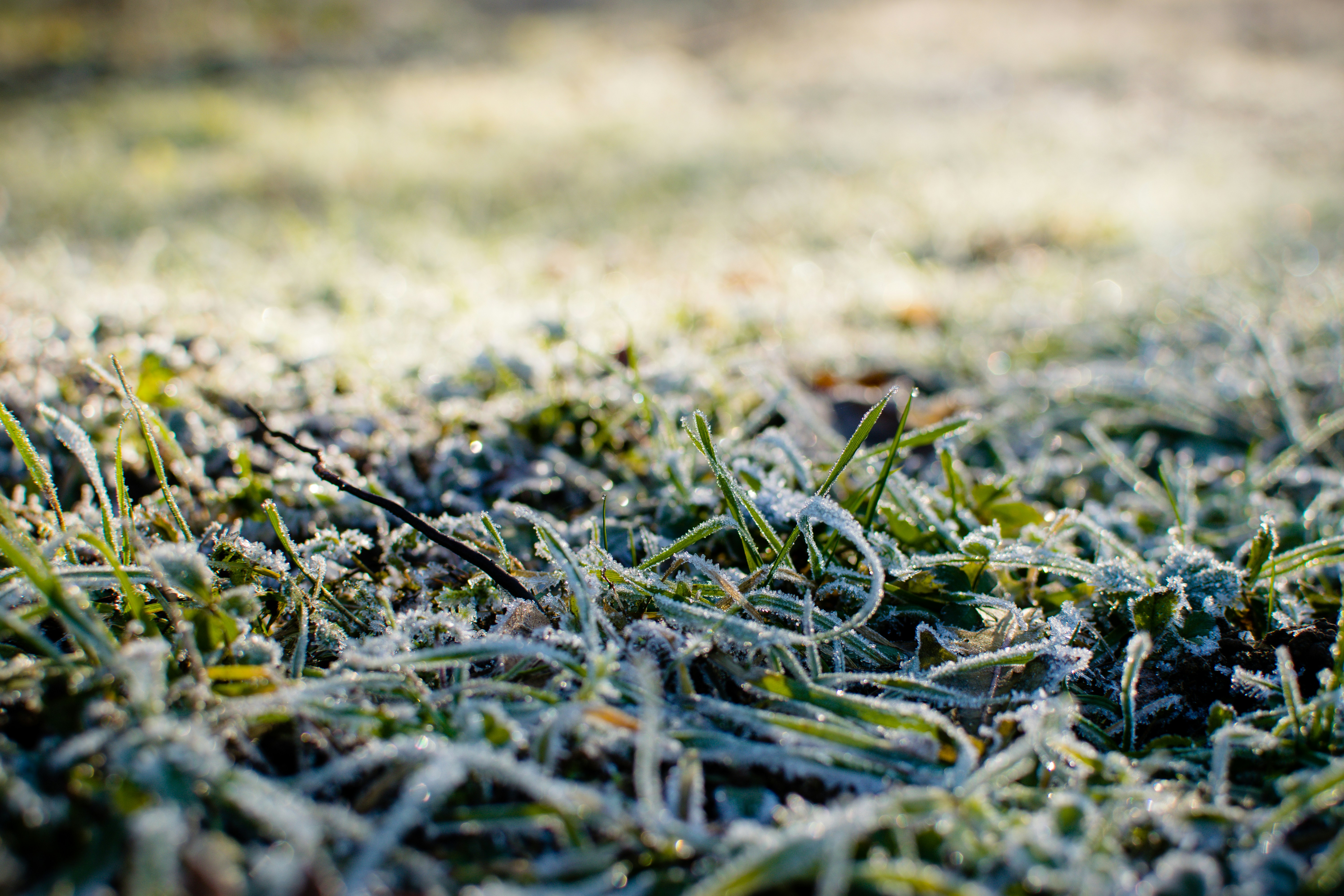 David Paschke (@davidpaschke) | Unsplash Photo Community