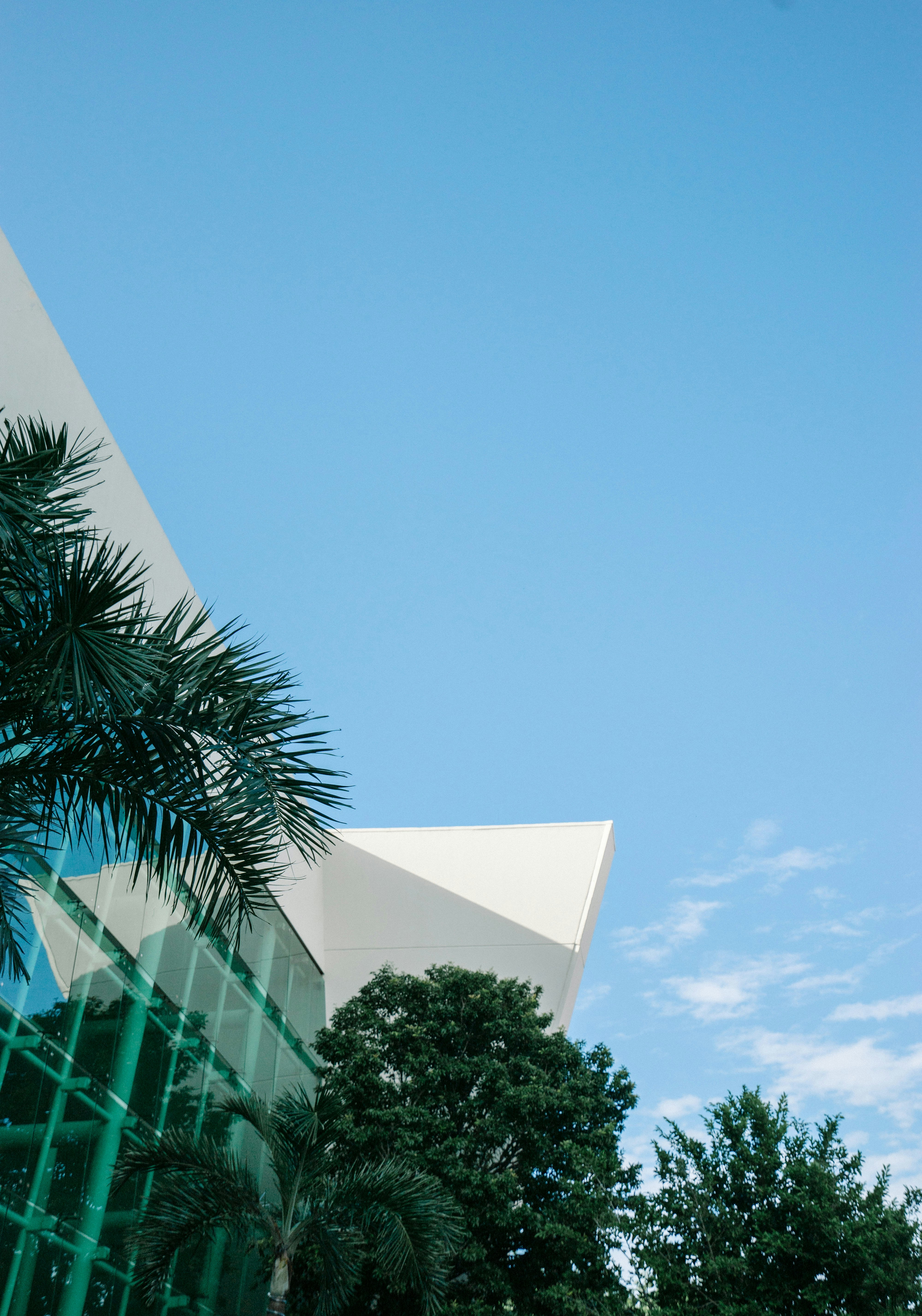 Diagonal Light, Green Glass, and Palm Shade
