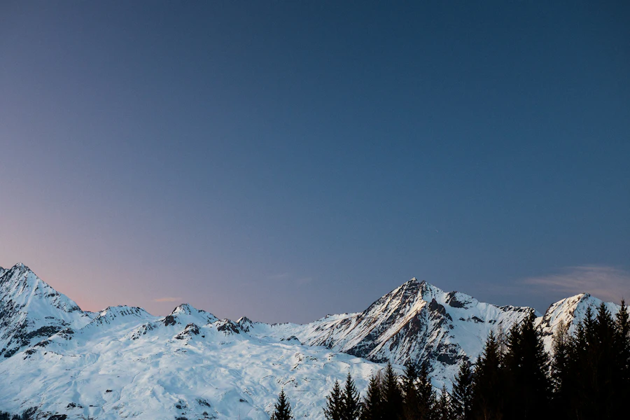 Snow-covered mountain range beneath a clear blue evening sky, with dark evergreen trees in the foreground and a soft pink glow on the left horizon.