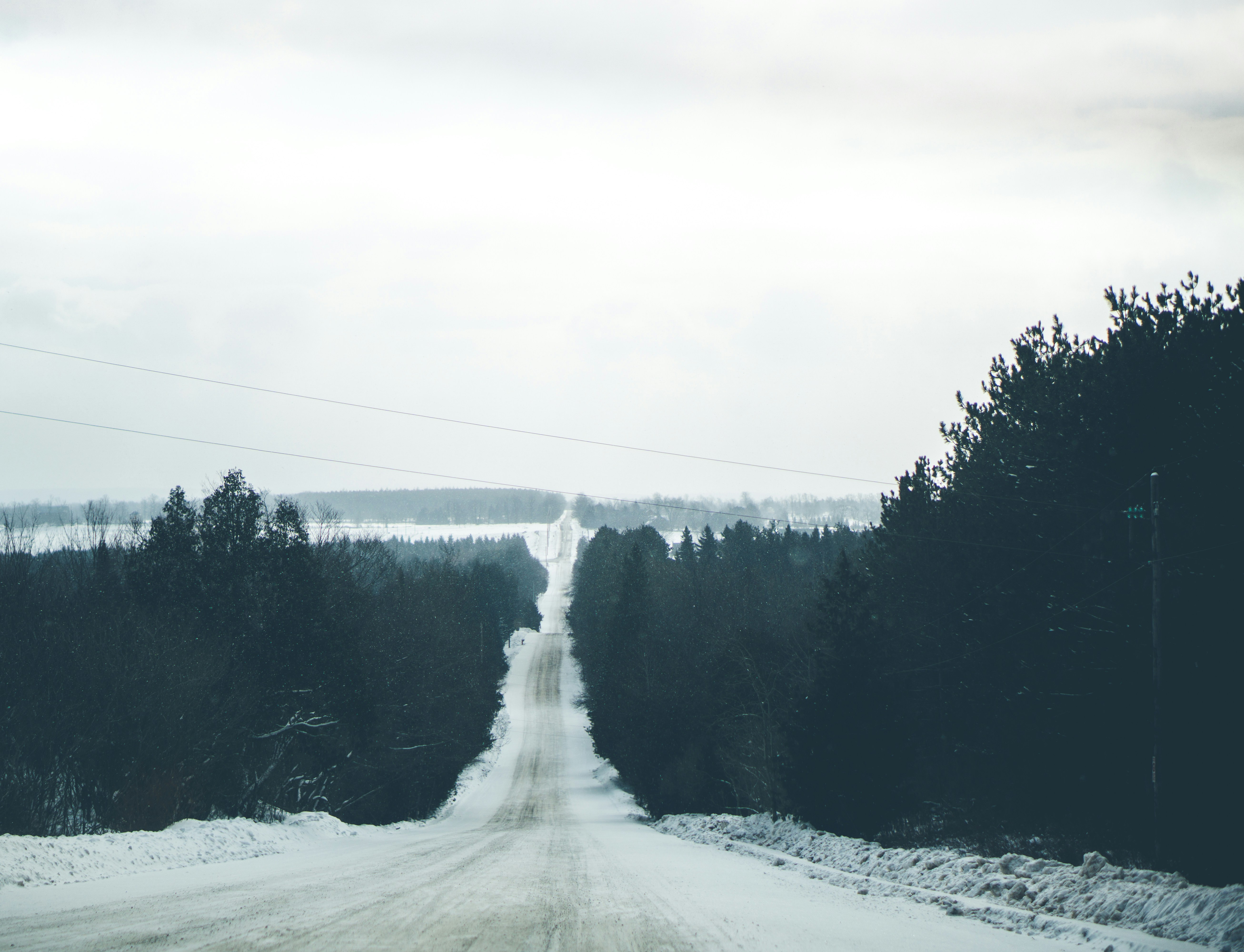 Snow-covered road stretching into a distant horizon flanked by dark pine trees under an overcast sky.