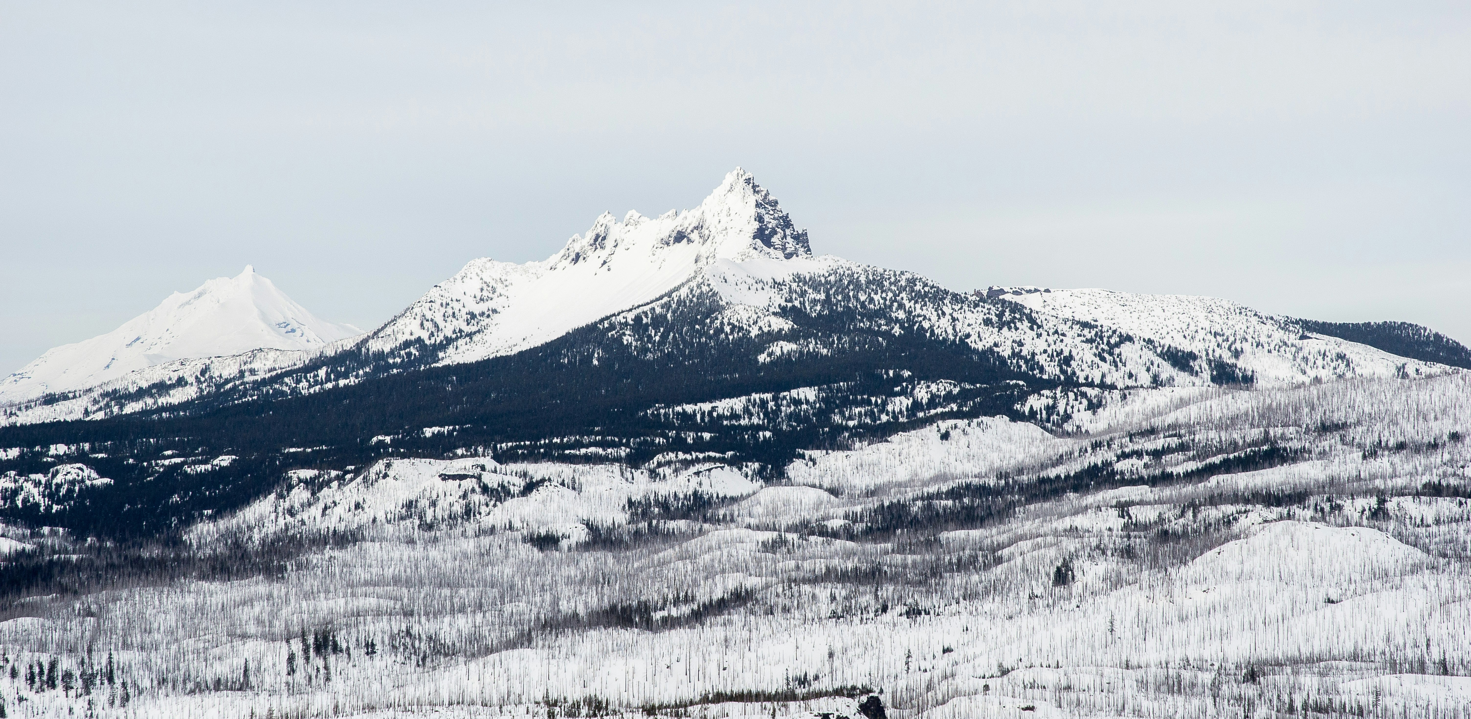 Joshua Mauricio (@fishiiiie) | Unsplashフォトコミュニティ