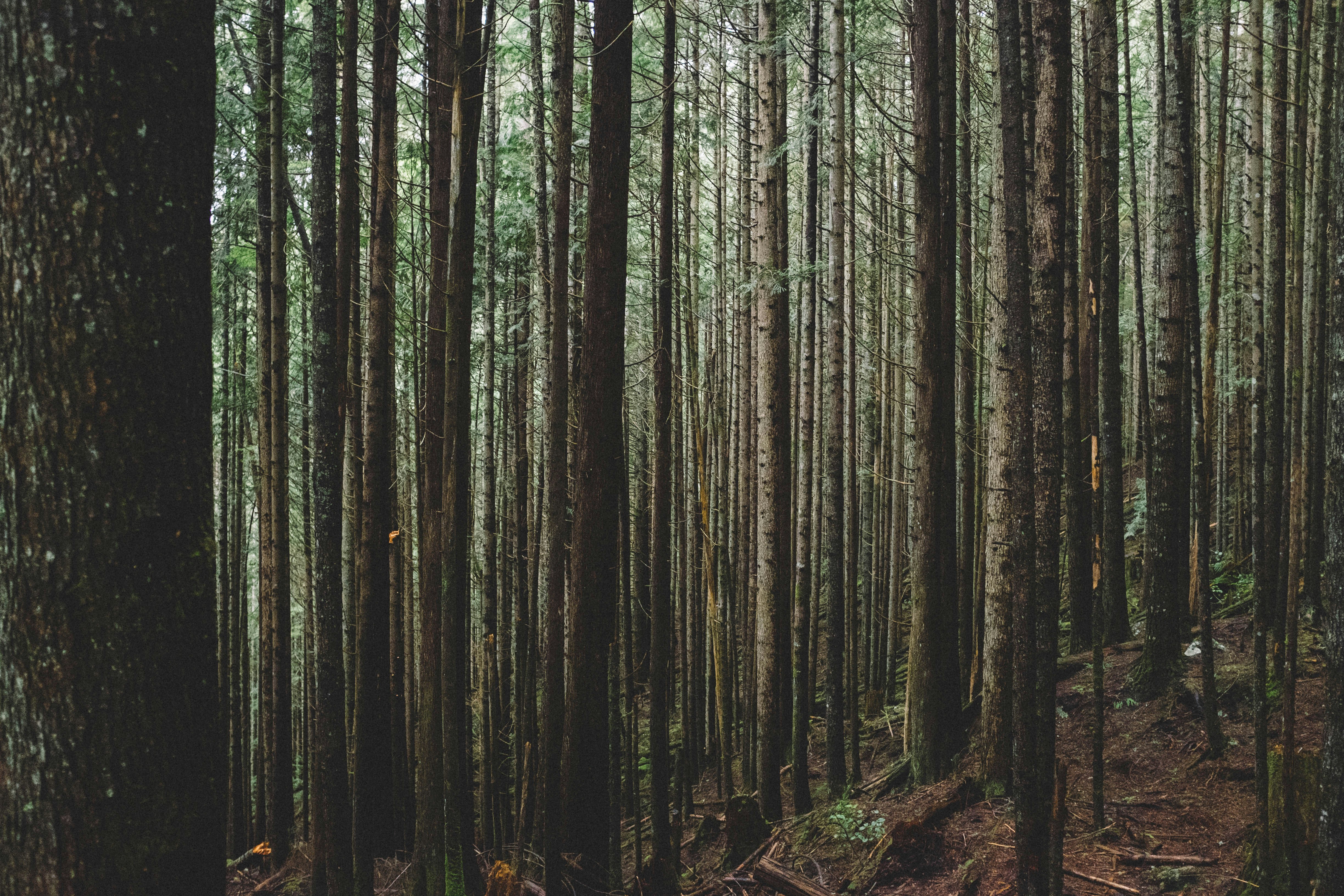 Crowded Bar Pictures | Download Free Images on Unsplash