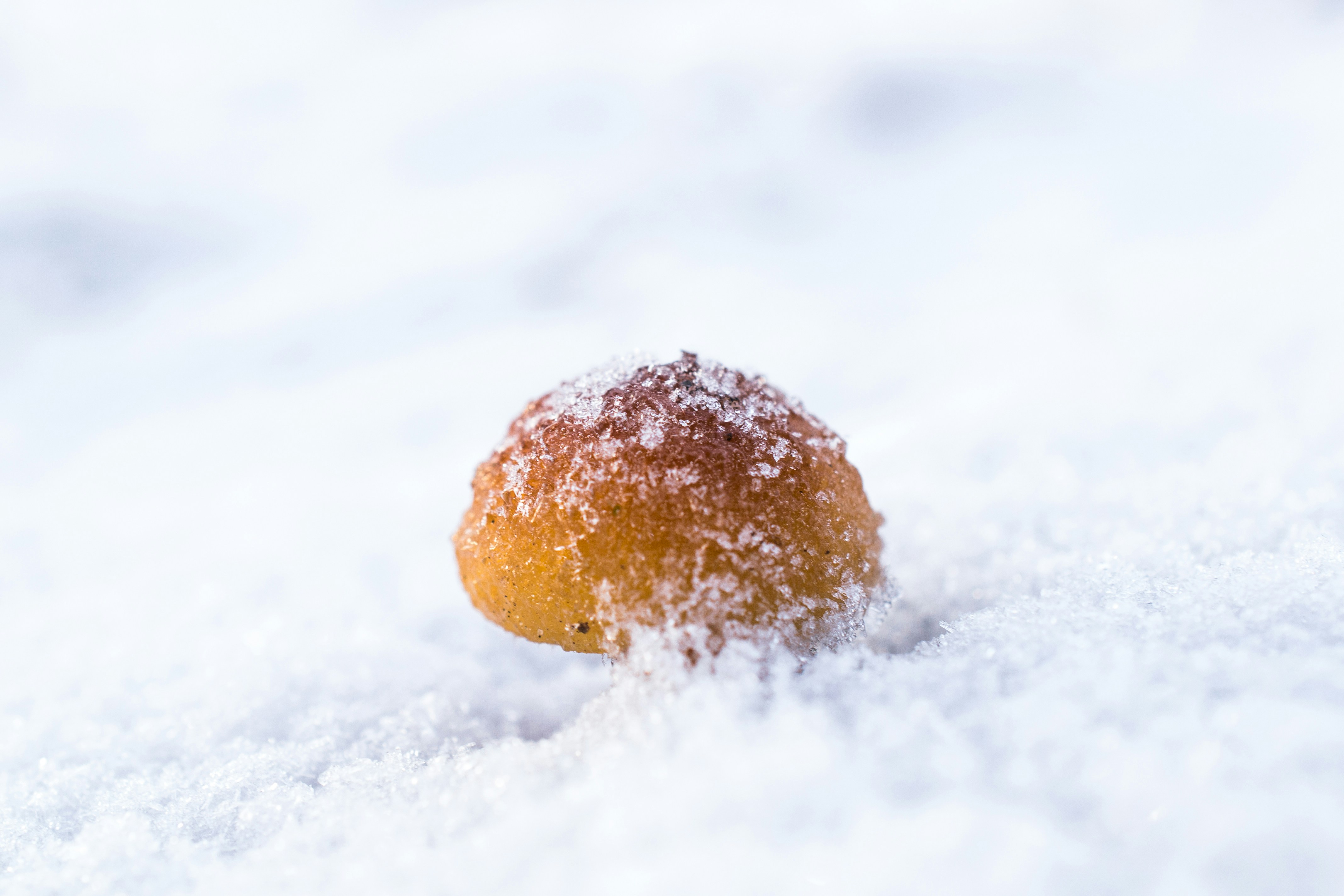 A powdered donut sitting on top of a snow covered ground photo – Free ...