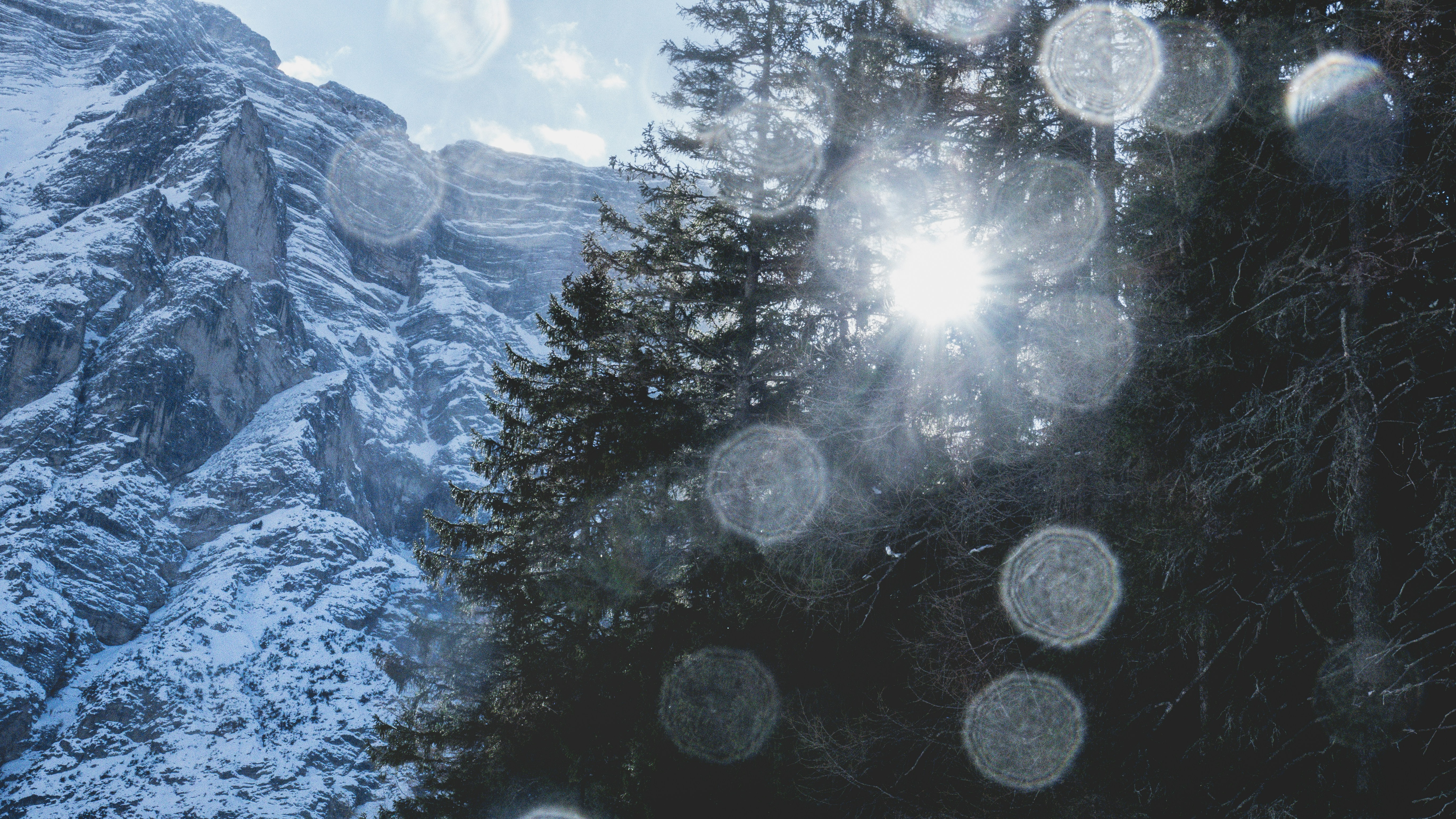 Sunburst Through Snowy Pines Over a Jagged Alpine Face
