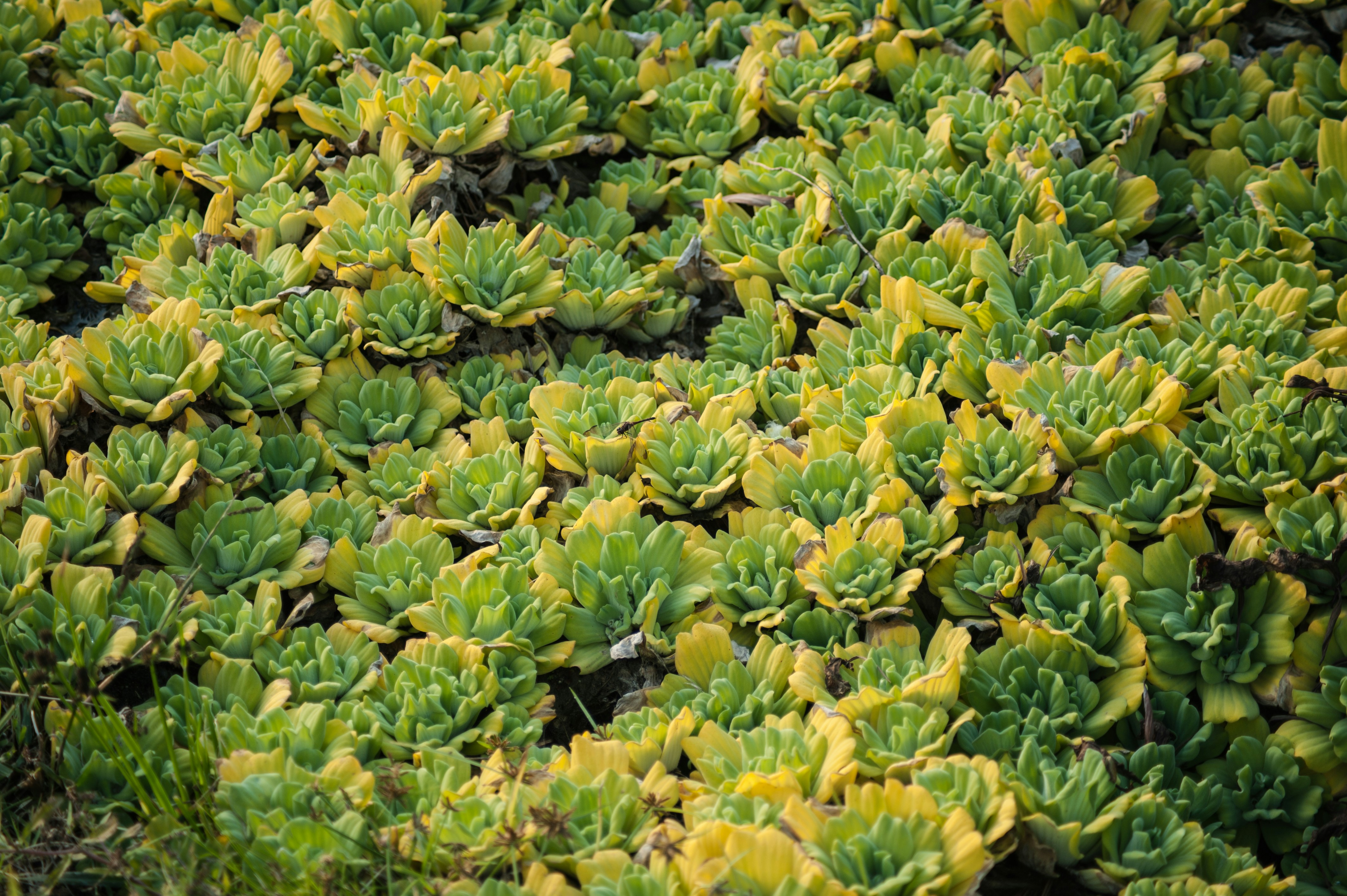 Timothy Ries (@wacowacko) | Communauté photos Unsplash