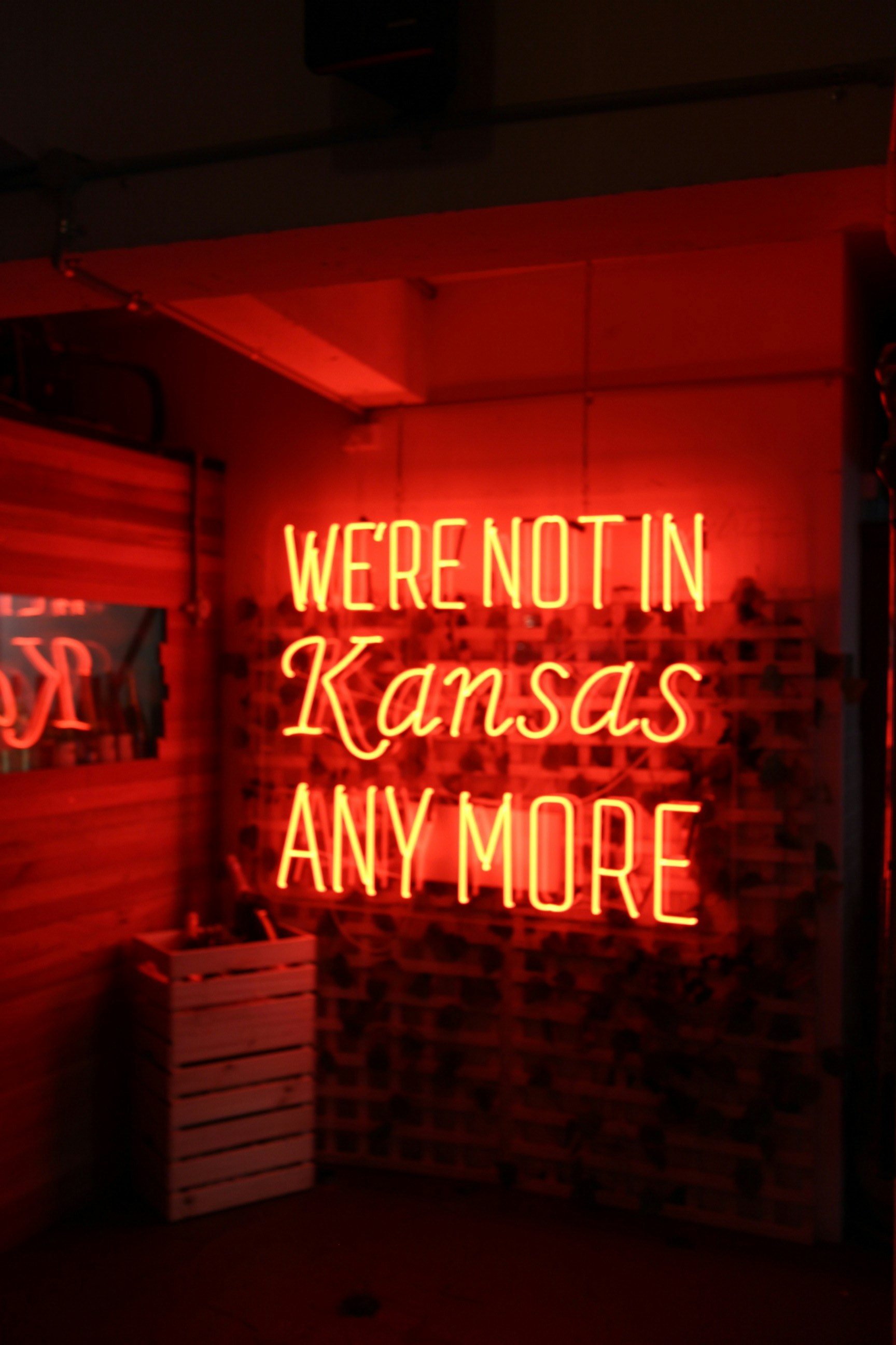 Red Neon Echo: We're Not in Kansas Anymore