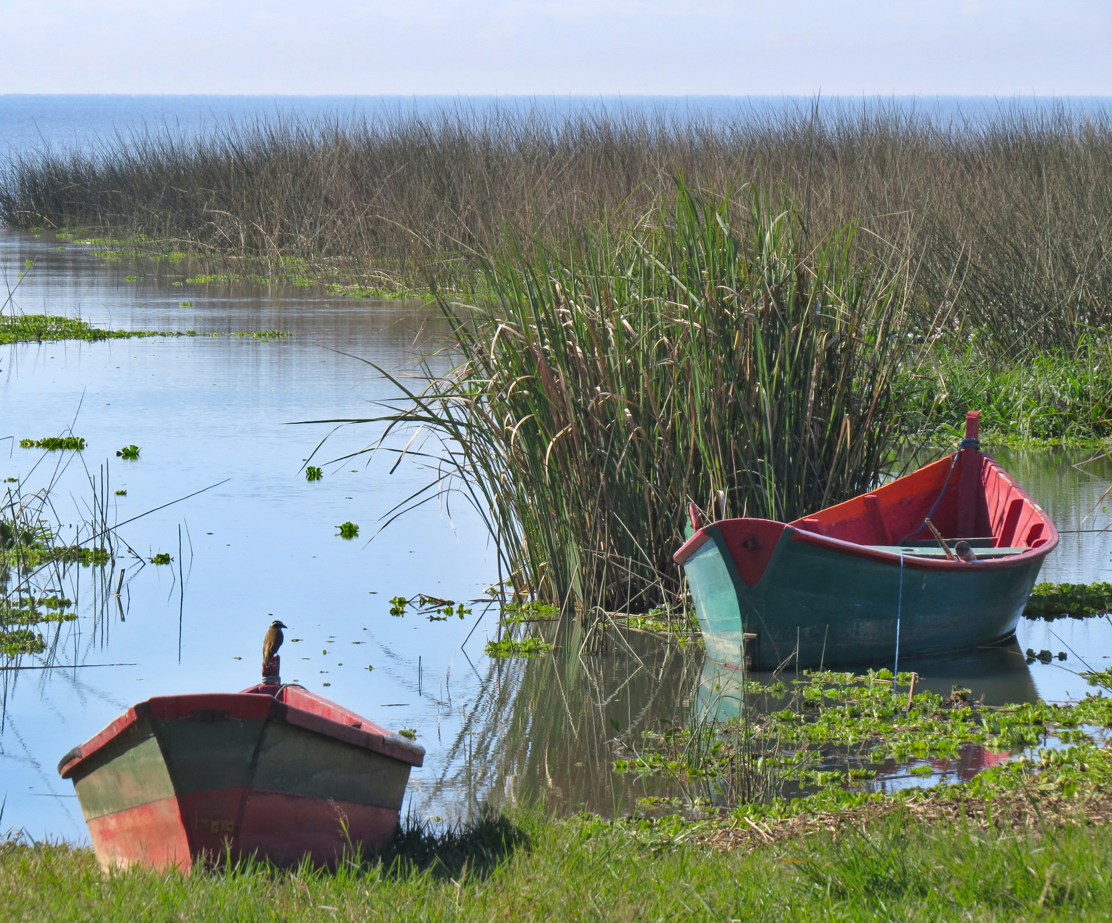 oli maia (@nyex) | Unsplash 사진 커뮤니티