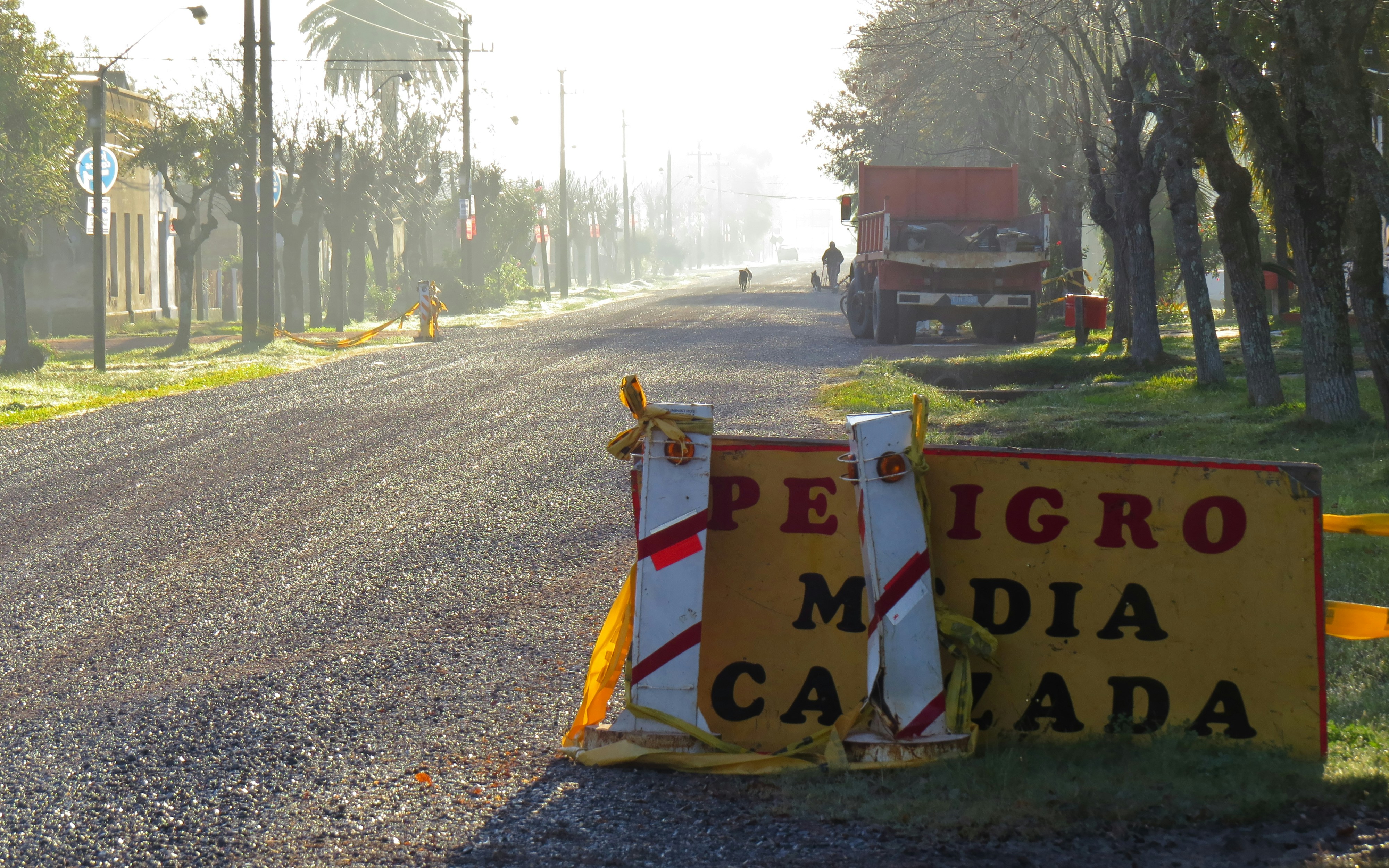 oli maia (@nyex) | Komunitas Foto Unsplash