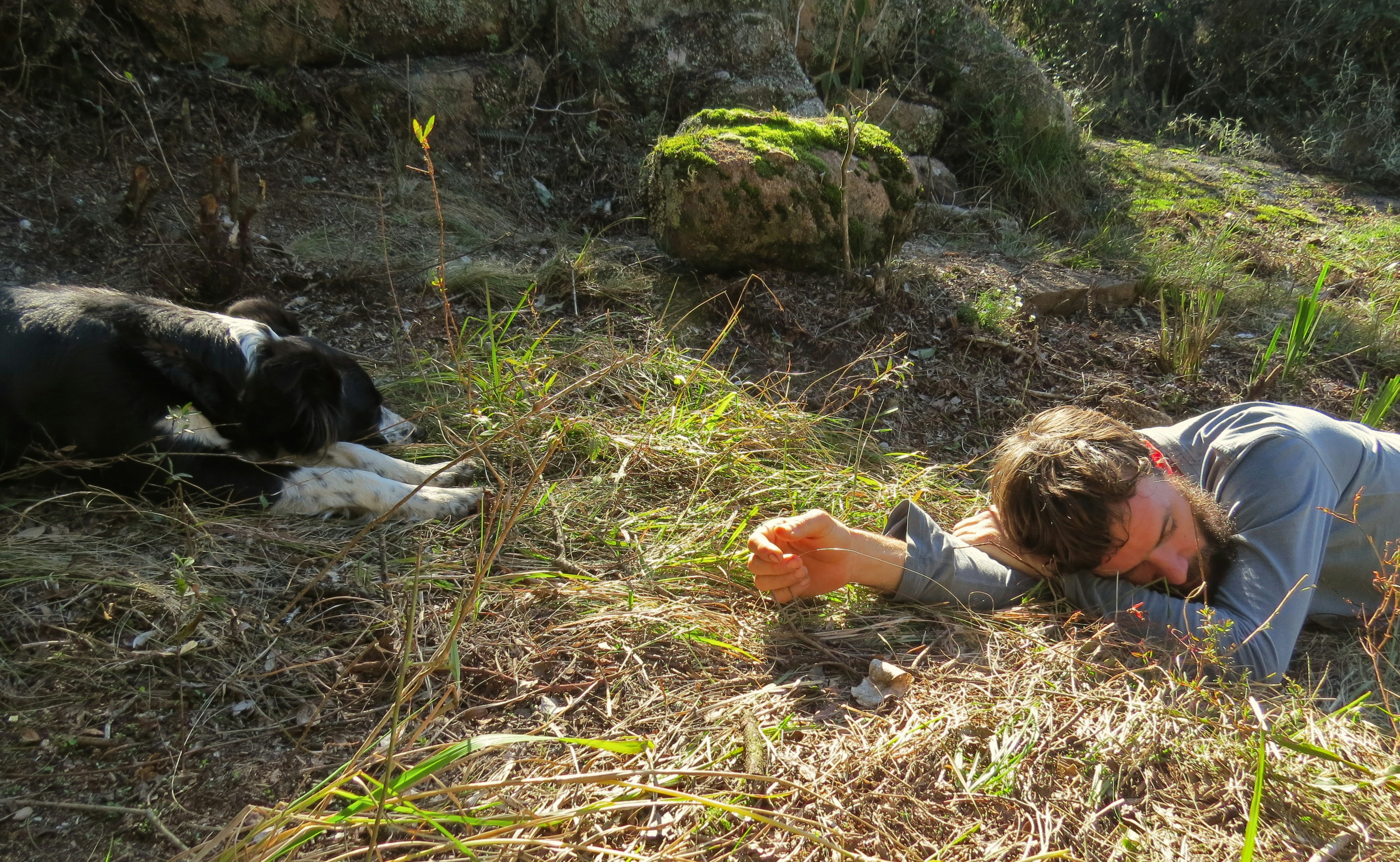 oli maia (@nyex) | Komunitas Foto Unsplash