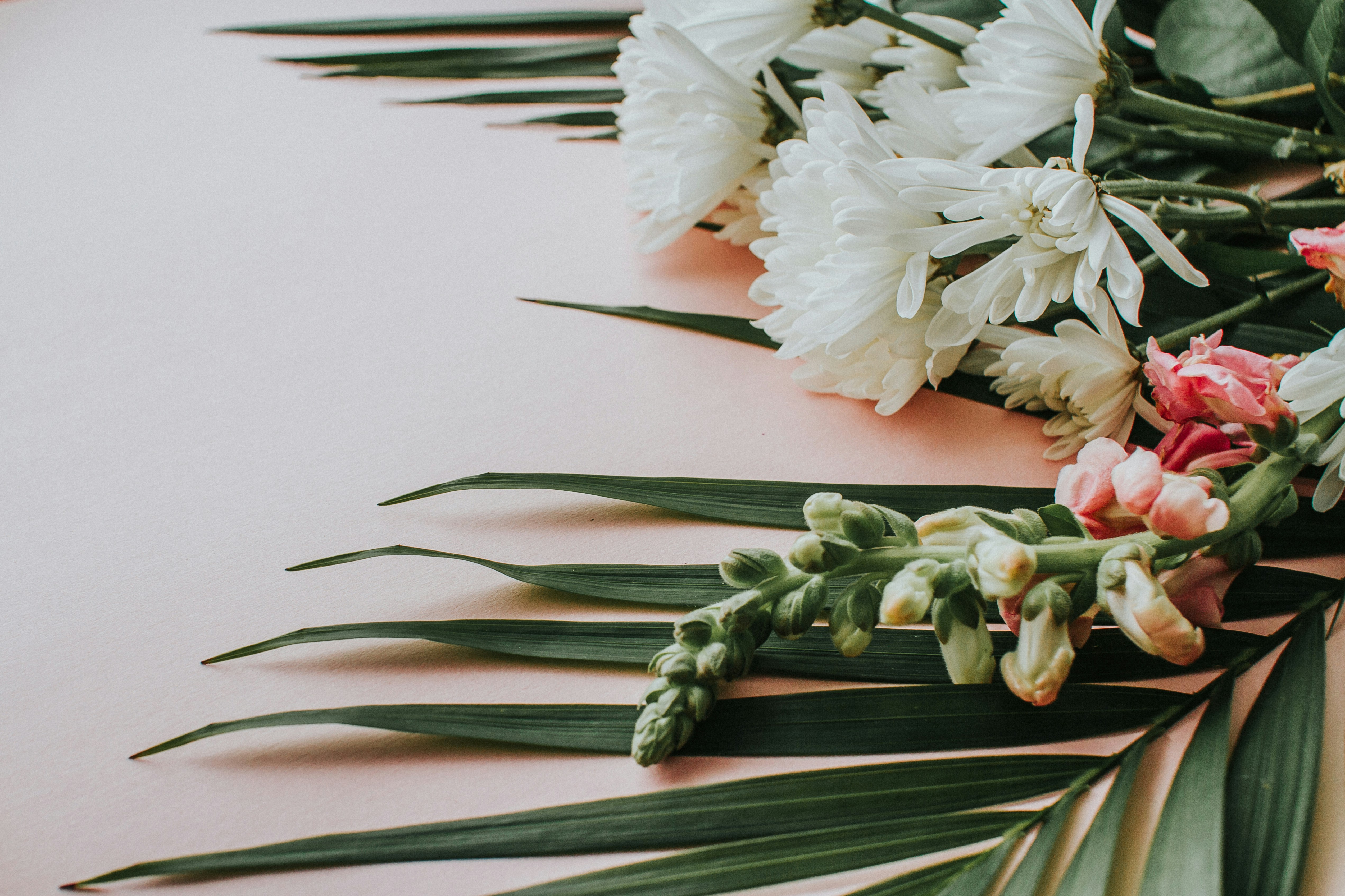 Natasha Alfred (@itsnatashaalfred) | Unsplashフォトコミュニティ