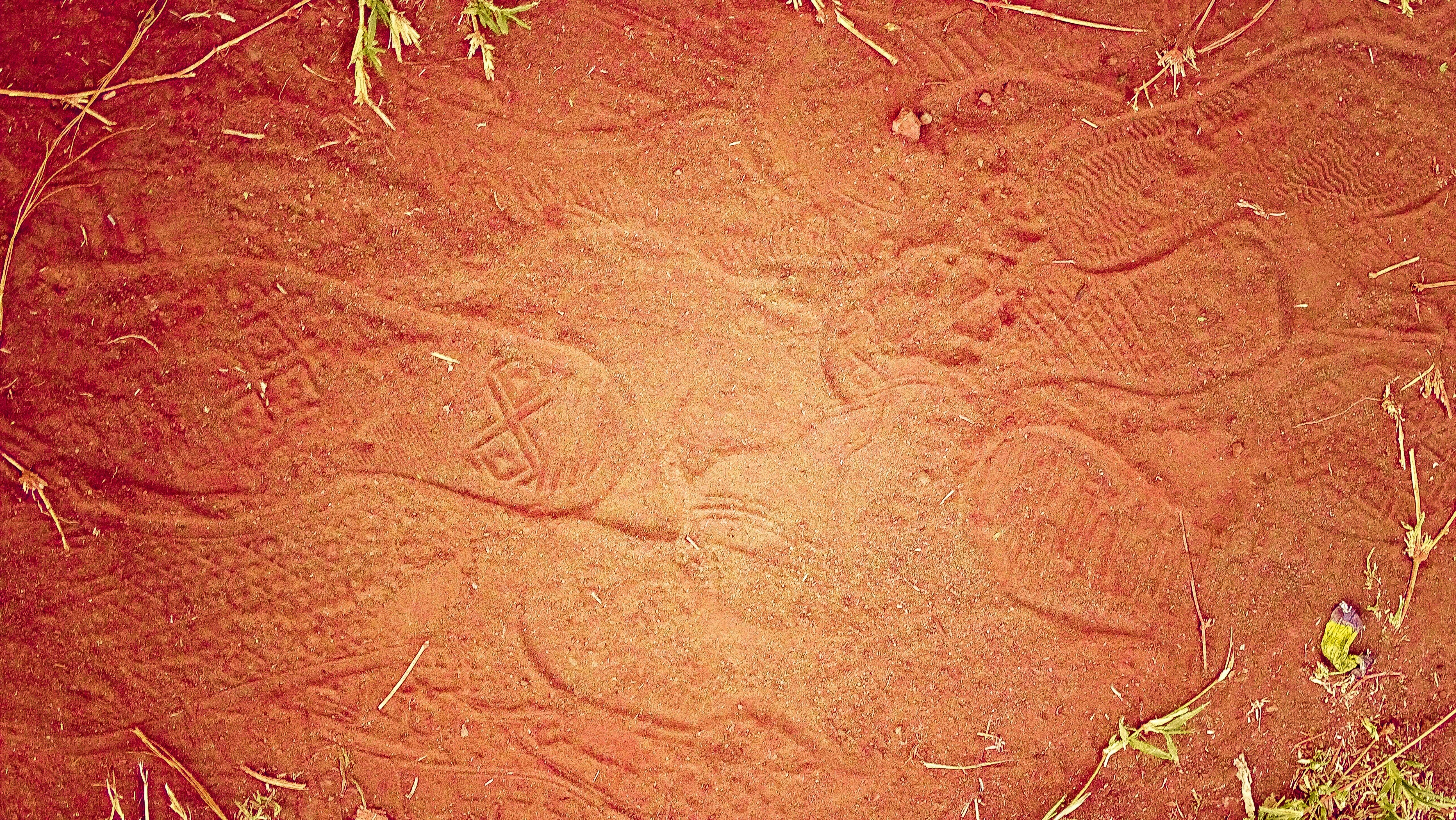 Isaac Sherlock (@sh3rl0ck) | Unsplash Photo Community