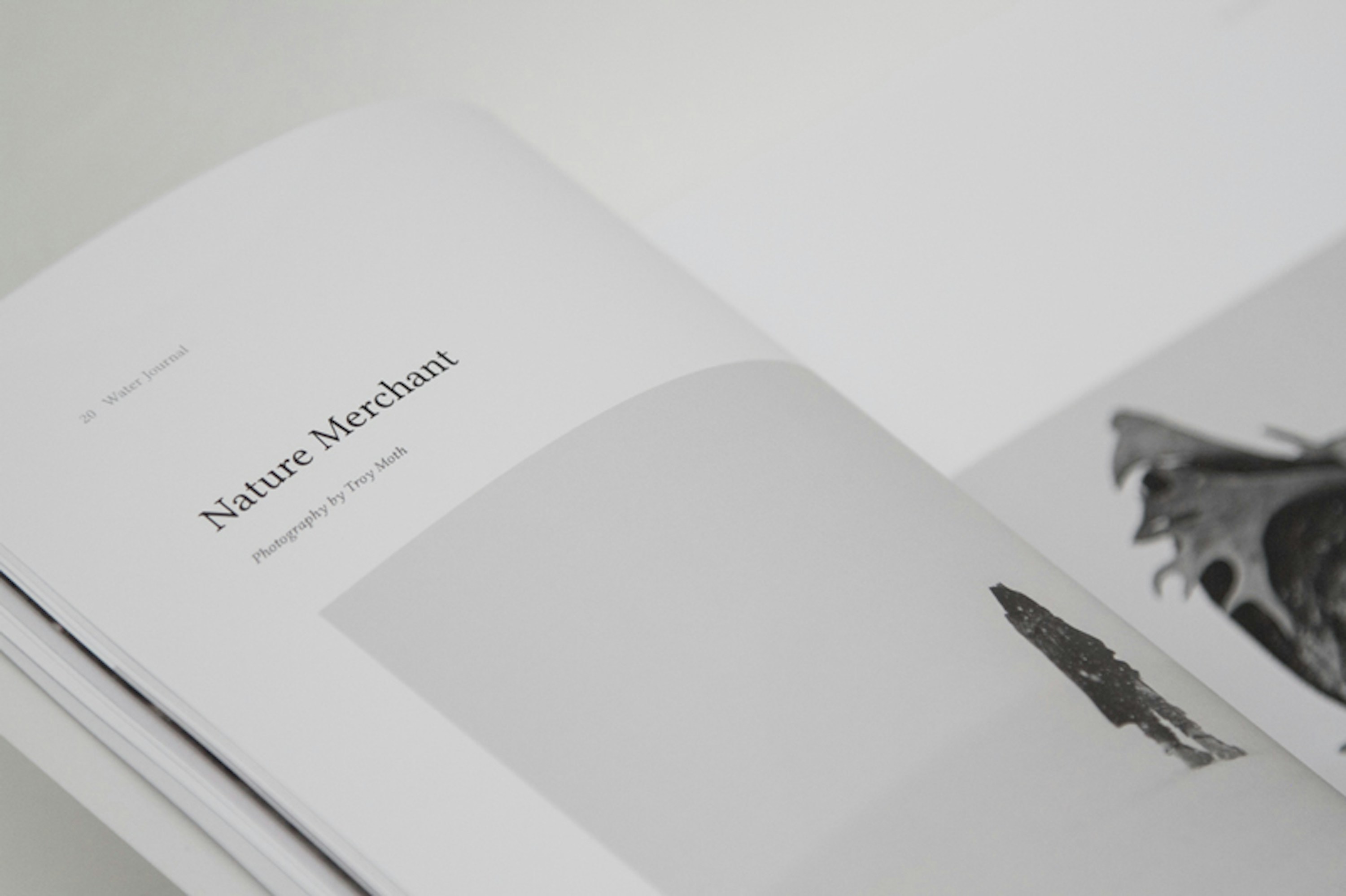 Water Journal (@waterjournal) | Unsplash 사진 커뮤니티