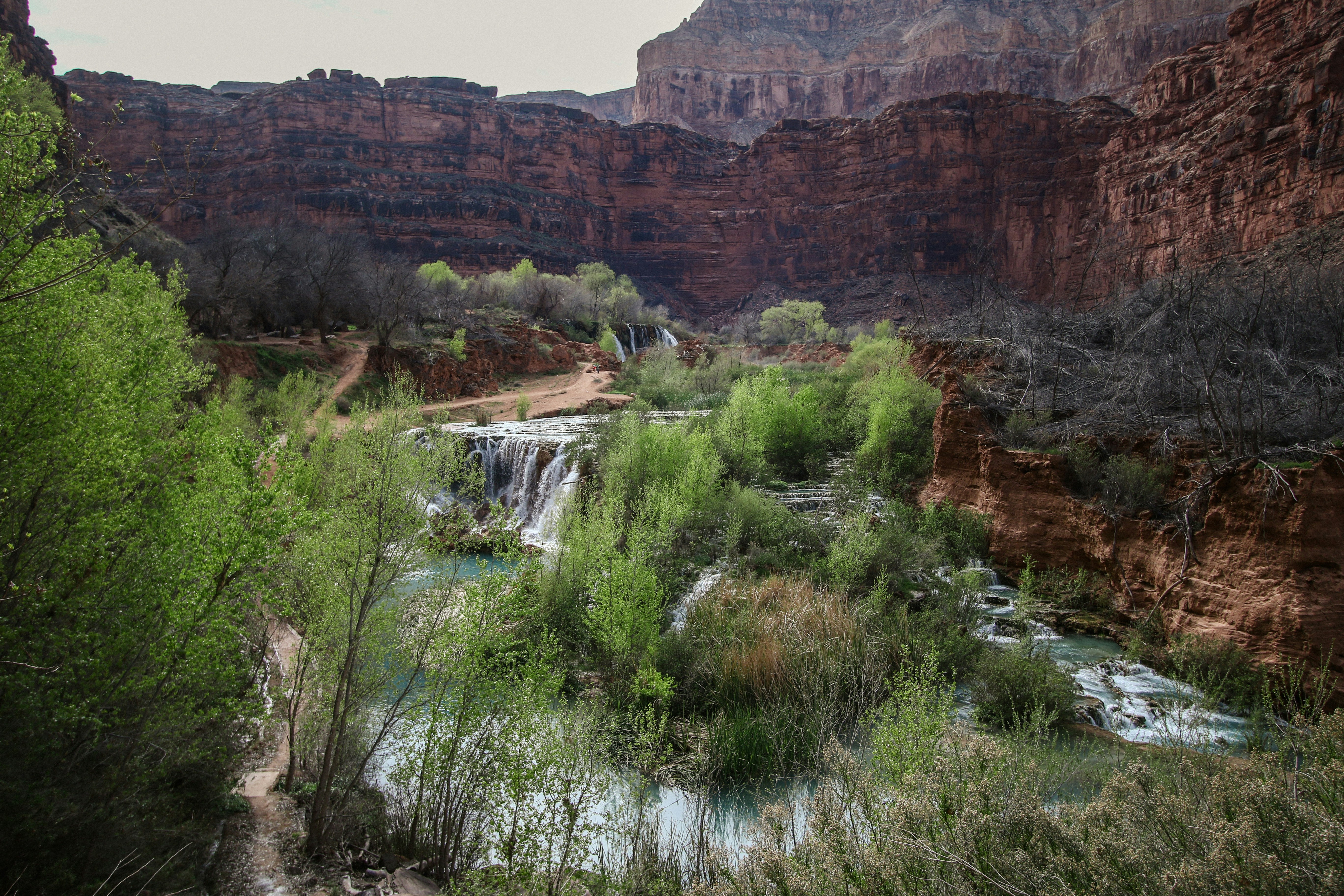 Lush greenery surrounds a serene waterfall cascading into a tranquil pool, framed by towering red rock formations in a canyon landscape.