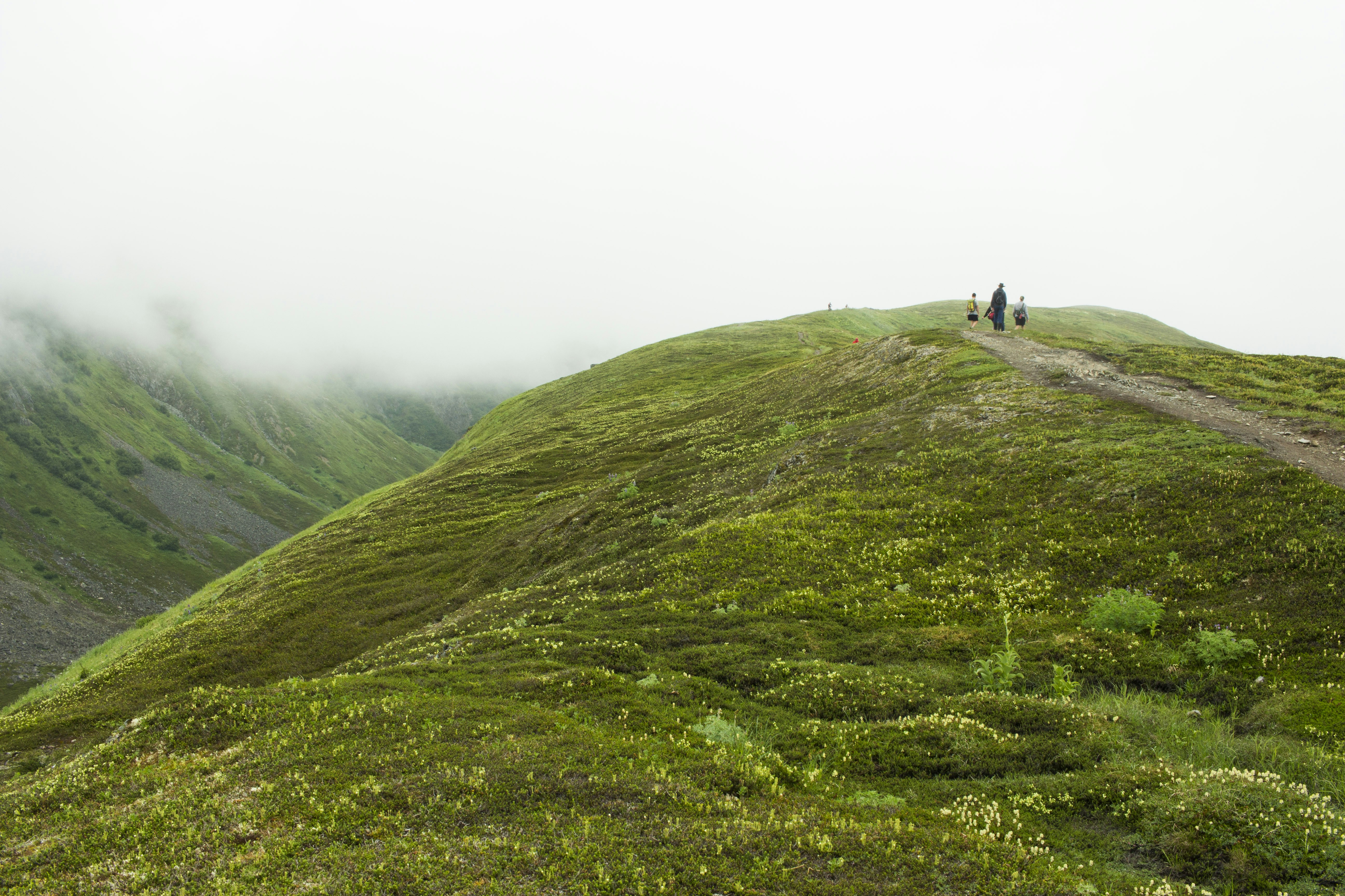 Two hikers traverse a verdant hillside shrouded in mist, surrounded by vibrant greenery and soft clouds. The serene landscape invites exploration.