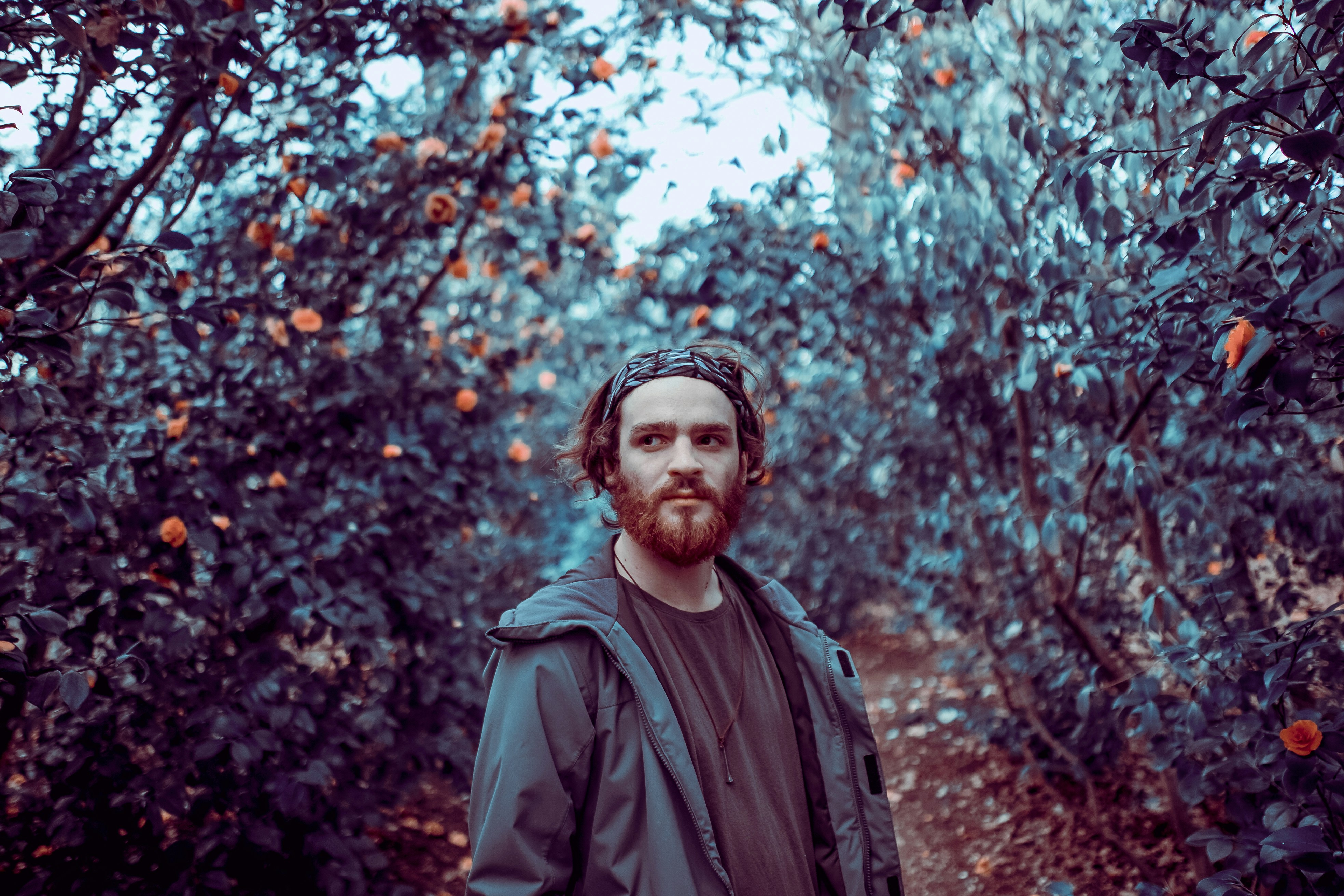 Man standing on a path surrounded by dense, leafy foliage with scattered orange blossoms.