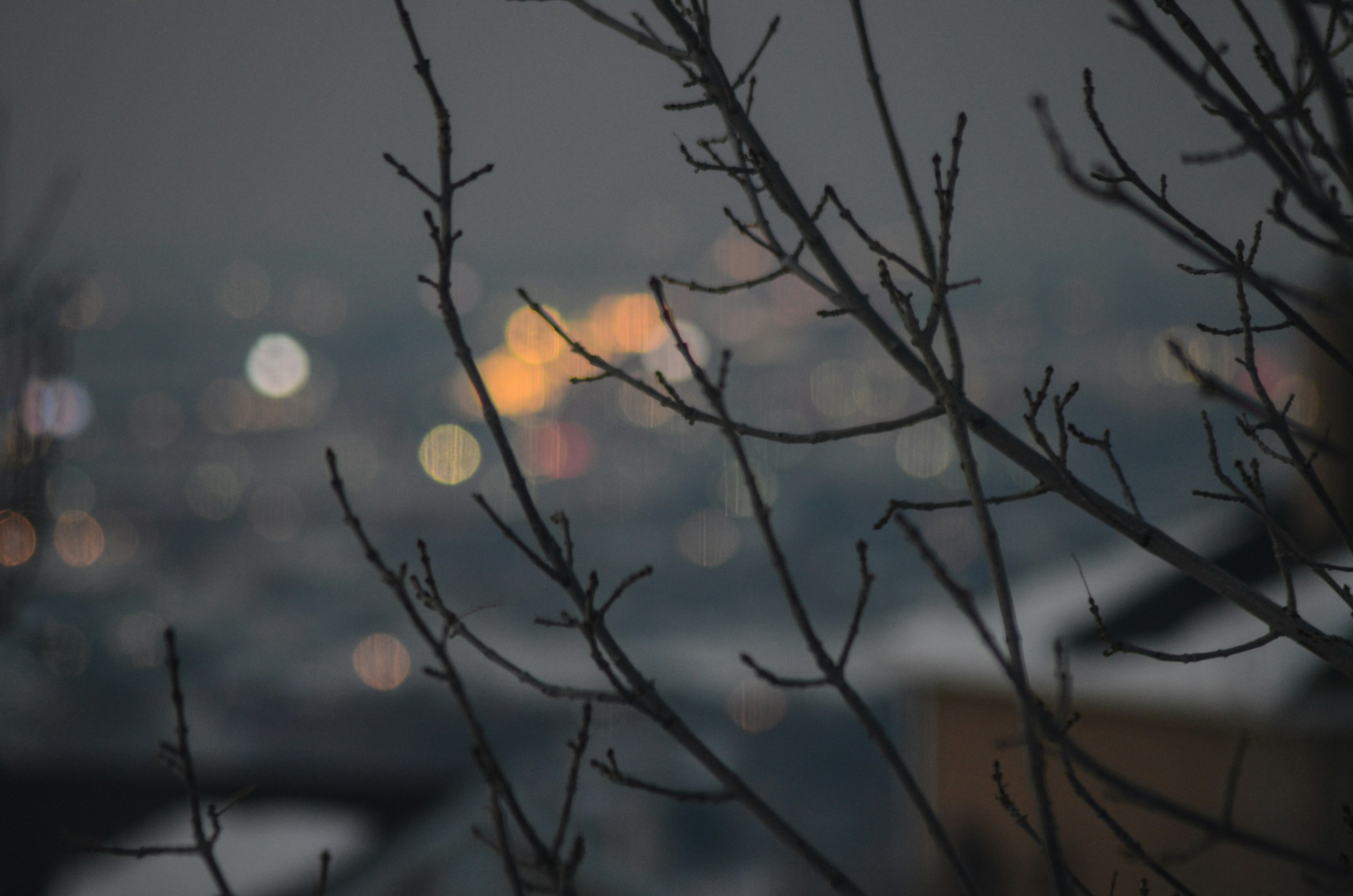 Silhouette of bare branches against a blurred cityscape illuminated by distant lights, capturing the essence of winter's quietude.