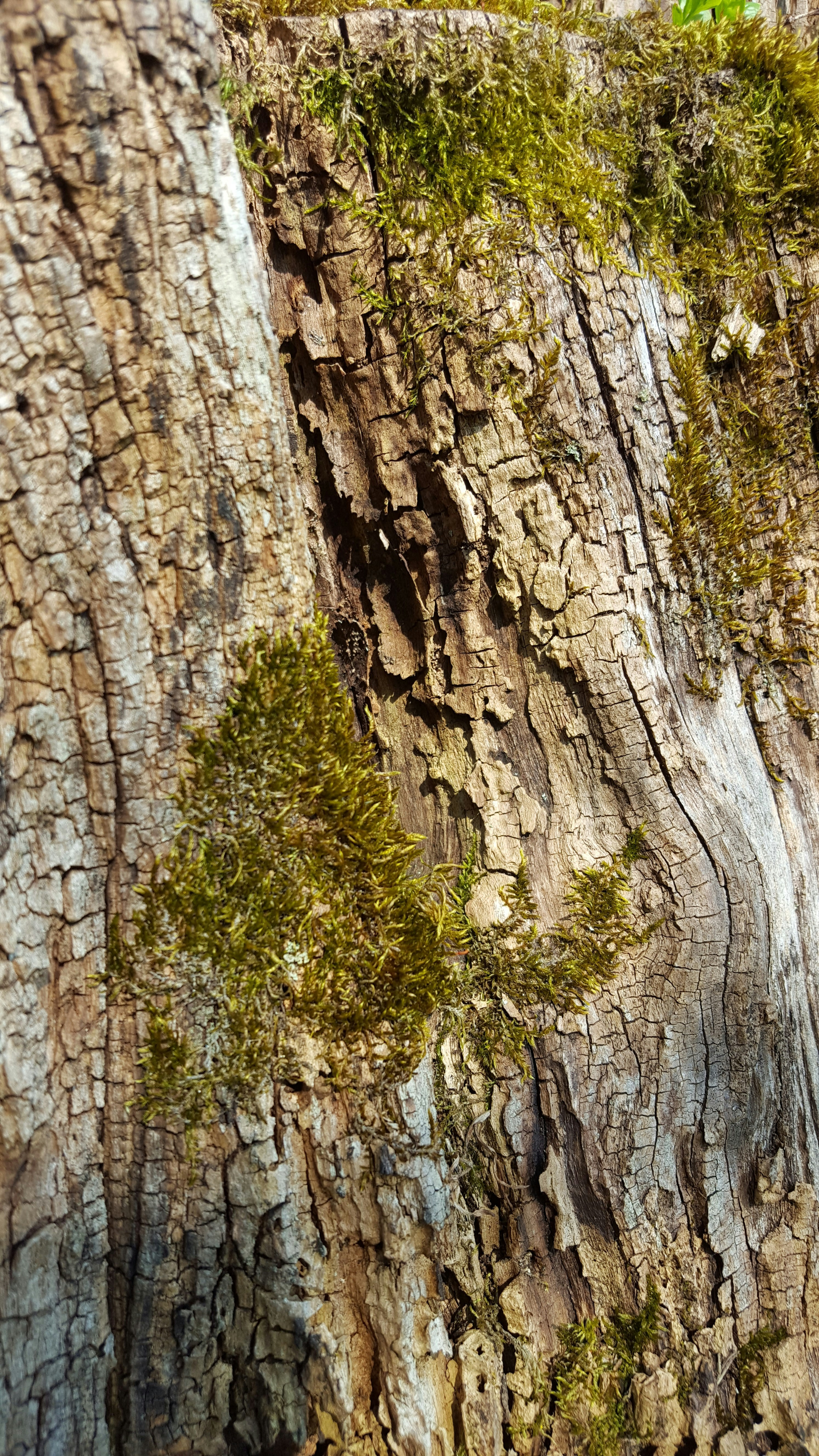 Dirk Gerber (@zorg) | Komunitas Foto Unsplash