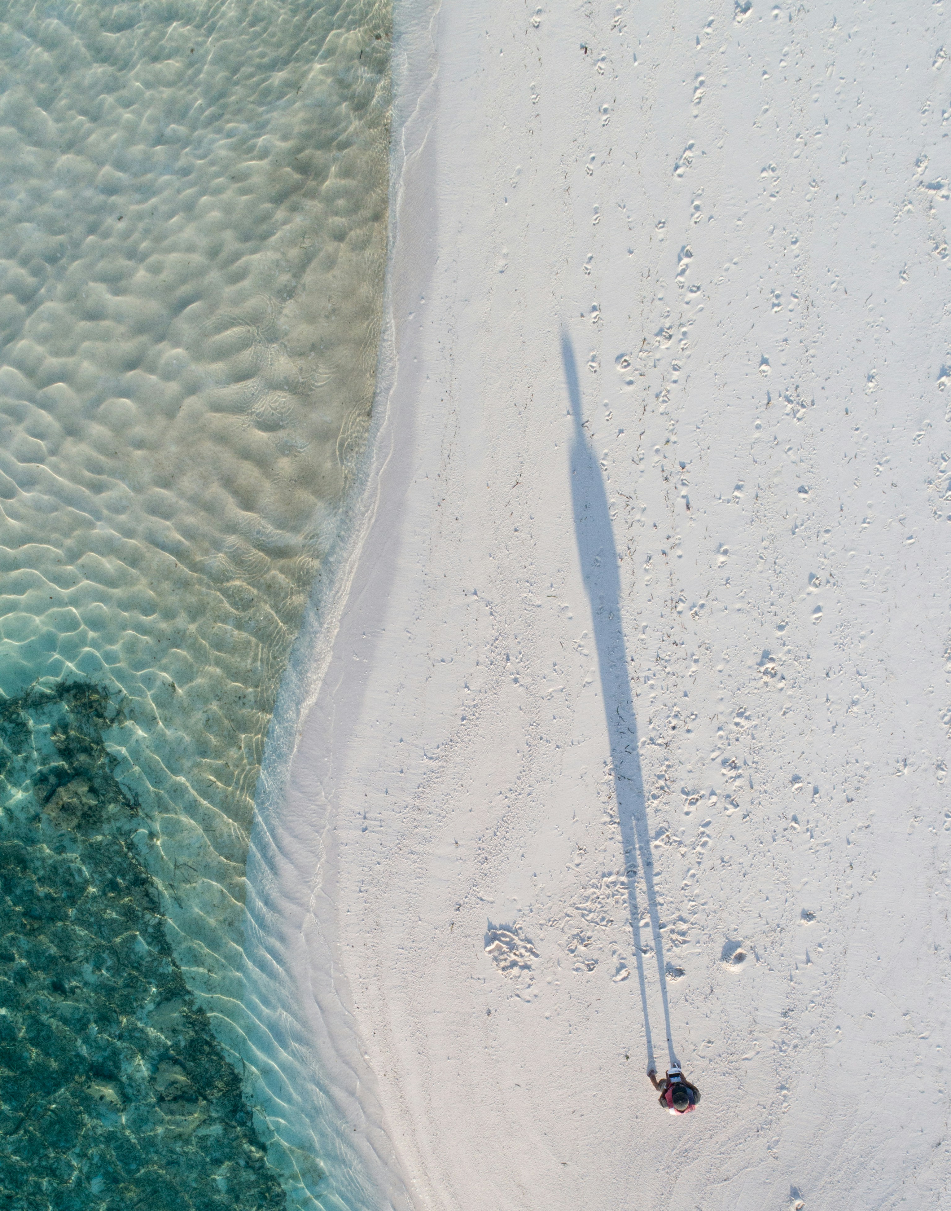 Shadowed Voyager Tracing the White-Sand Boundary of a Turquoise Lagoon