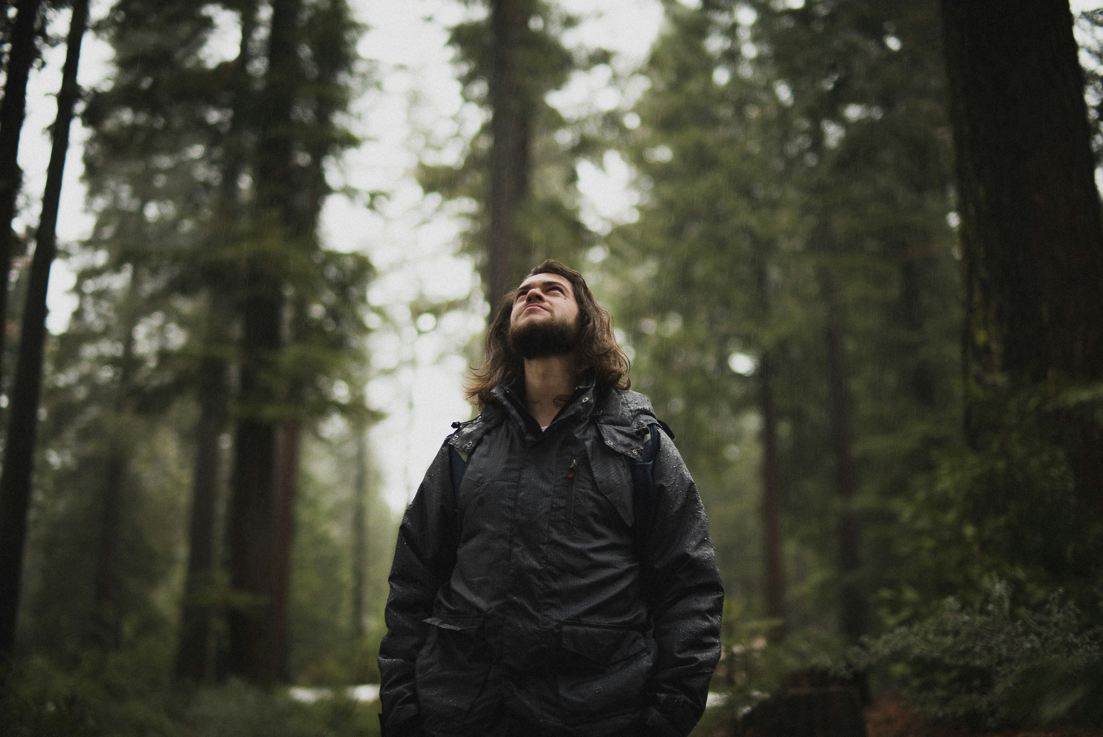 Man wearing black jacket looking up surrounded with tall trees photo ...