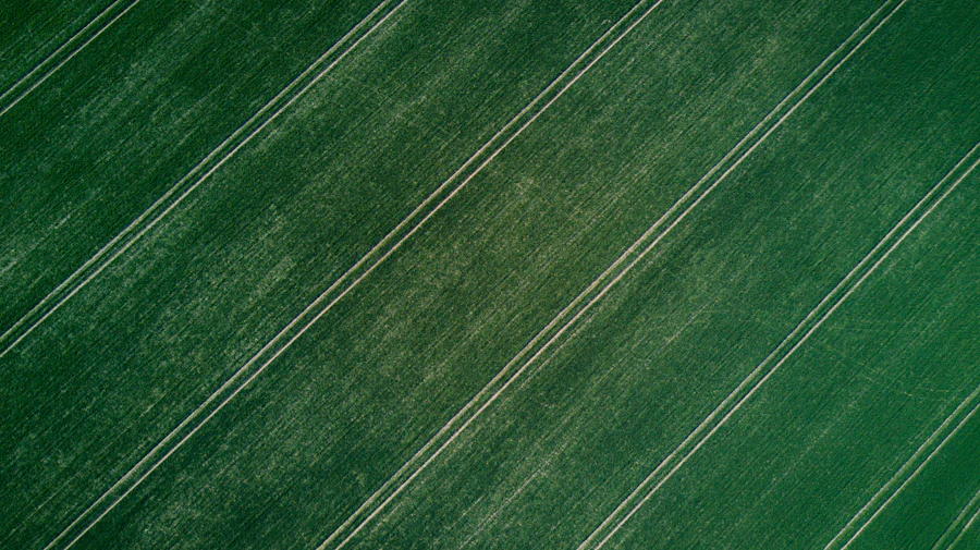 Aerial drone photograph of vivid green fields with diagonal furrows, revealing geometric pattern from above. Emphasizes texture and field layout rather than a central subject.