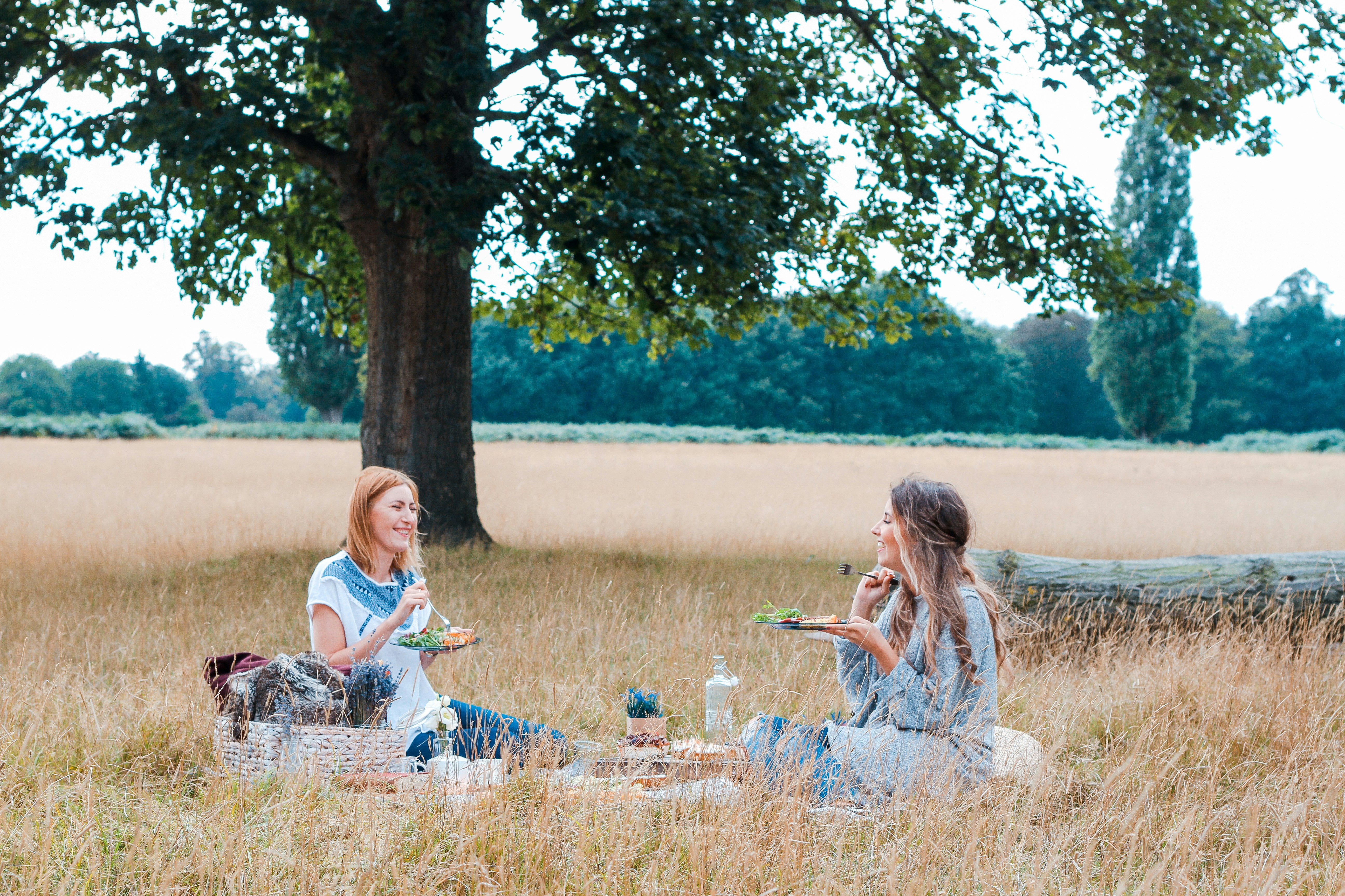 Two people enjoying a picnic on golden grass beneath a large tree in a rural landscape.