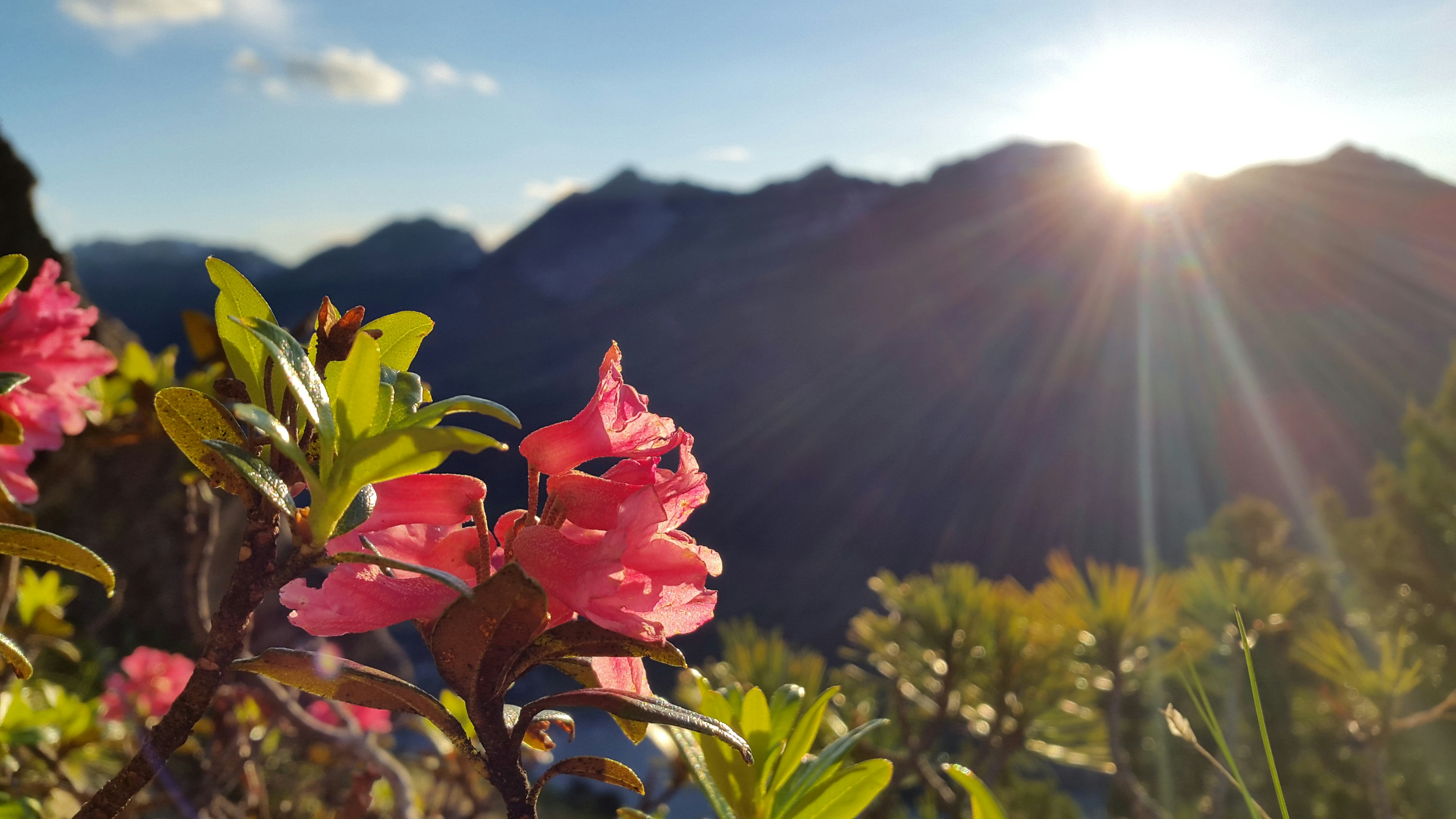 David Moy de Vitry (@davidmoy) | Unsplash Photo Community