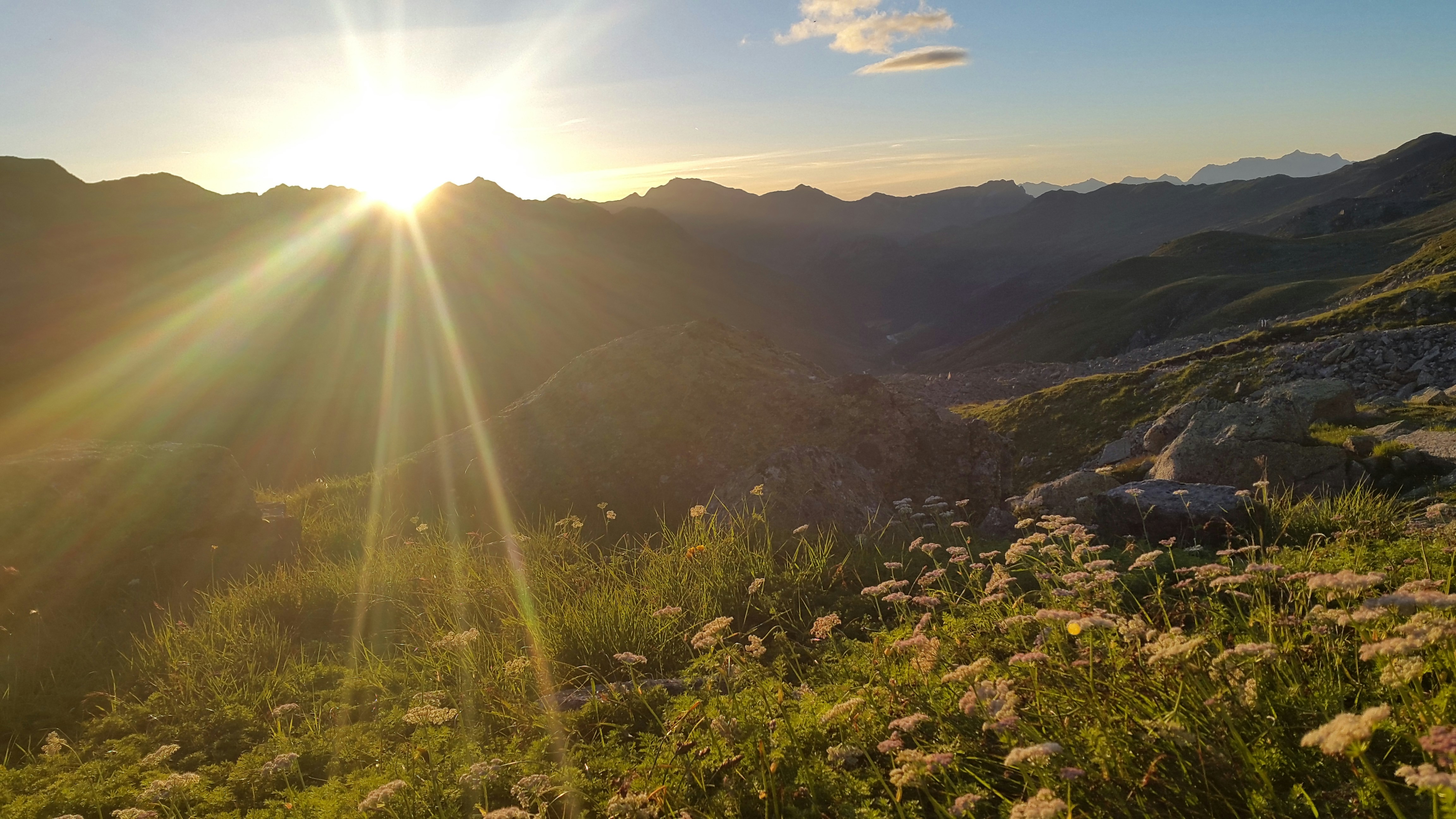 David Moy de Vitry (@davidmoy) | Unsplash Photo Community