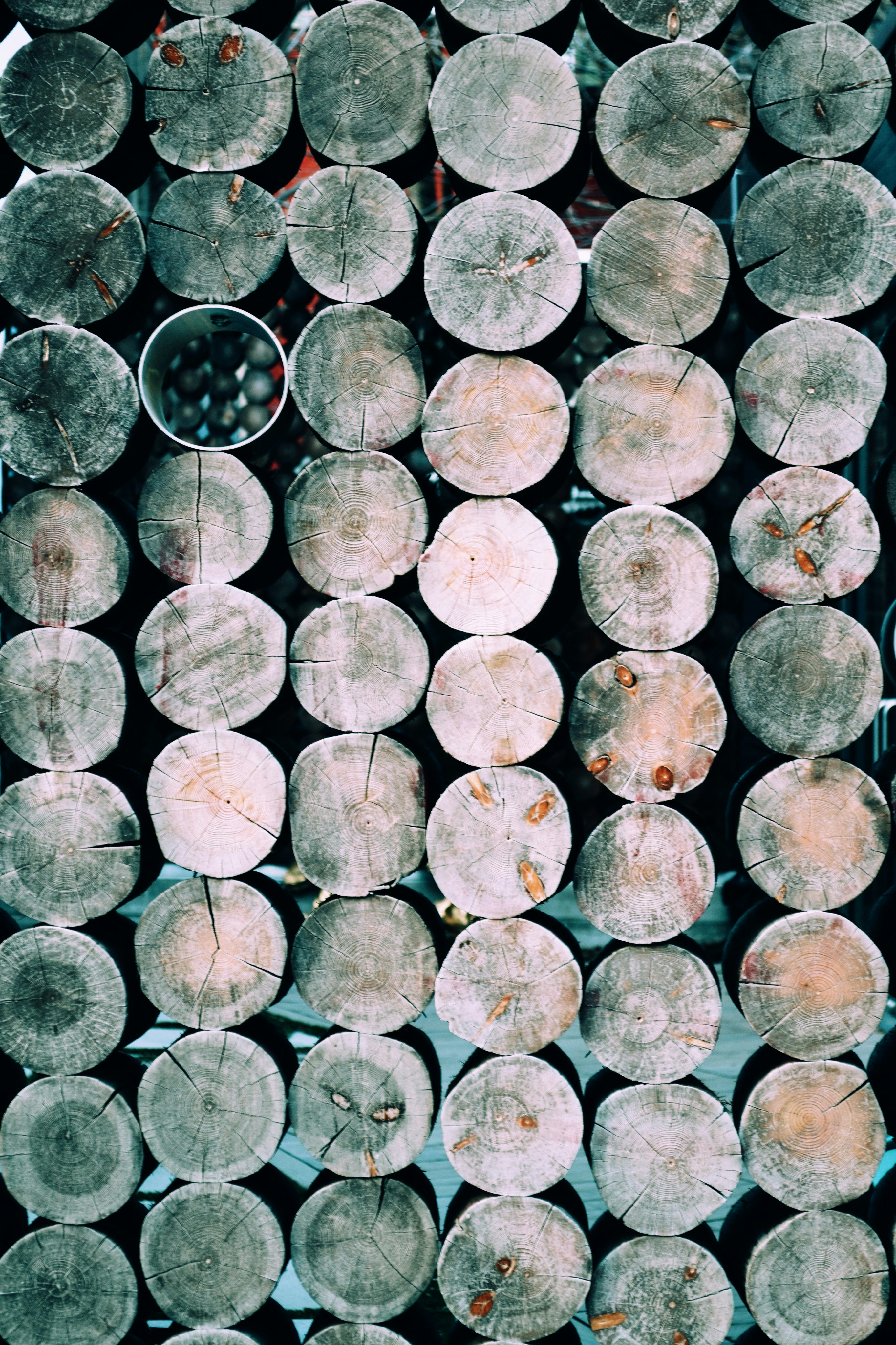 An artistic arrangement of cut wooden logs, showcasing their natural textures and patterns. The circular shapes create a visually striking composition.