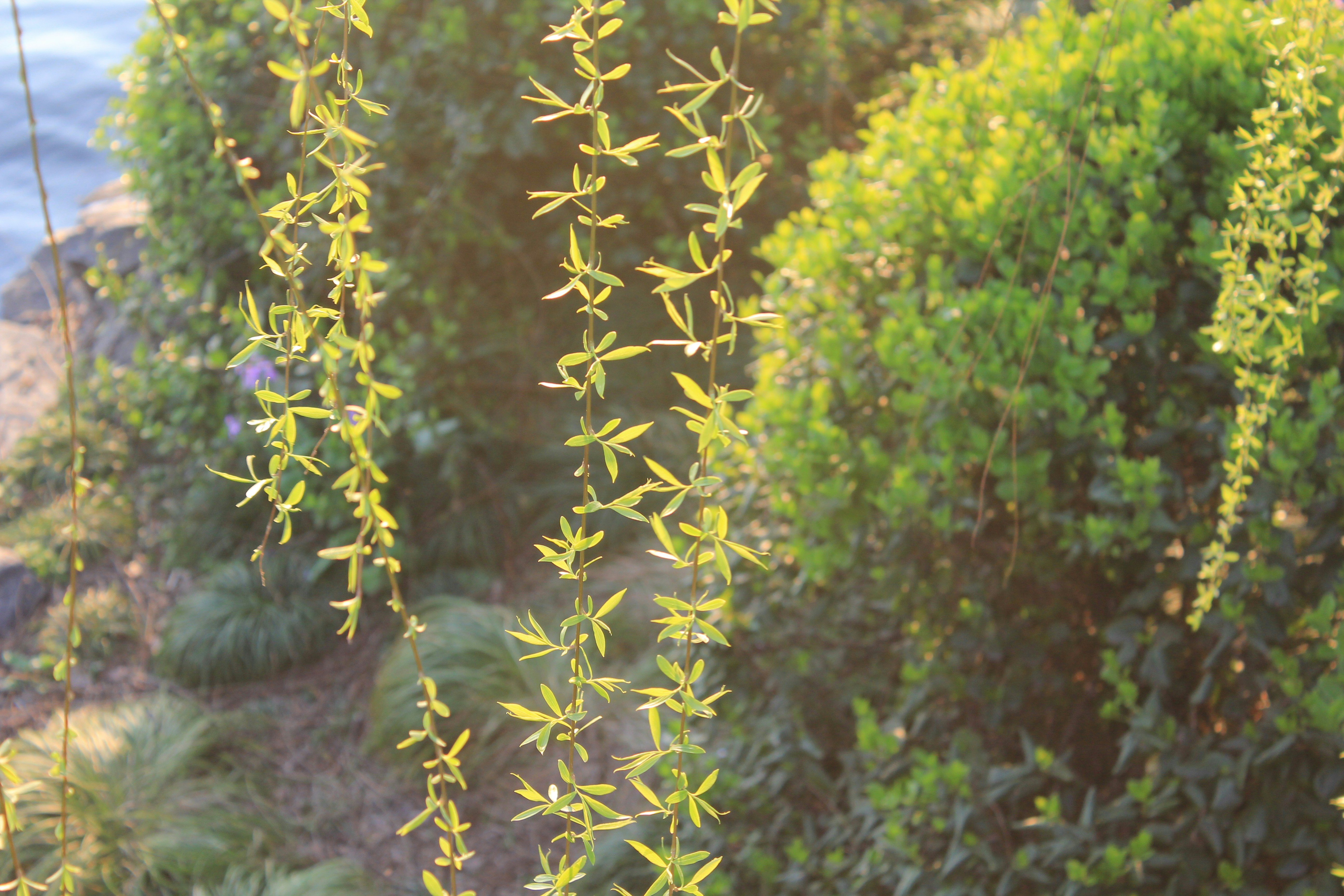 Alice Wu (@alicewu1988) | Comunidad de fotos de Unsplash