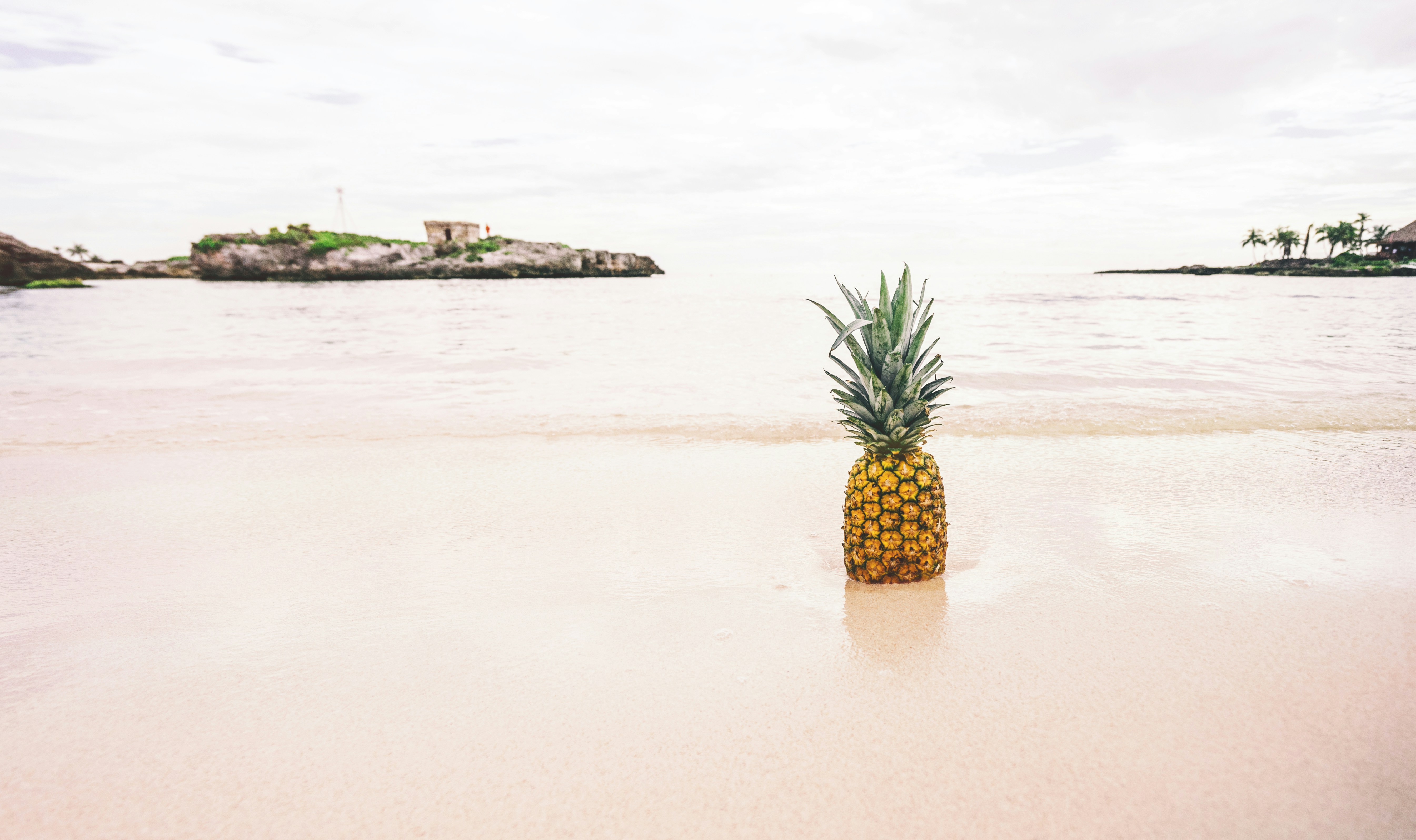 Pineapple at the Tide's Edge: a Minimal Coastal Moment